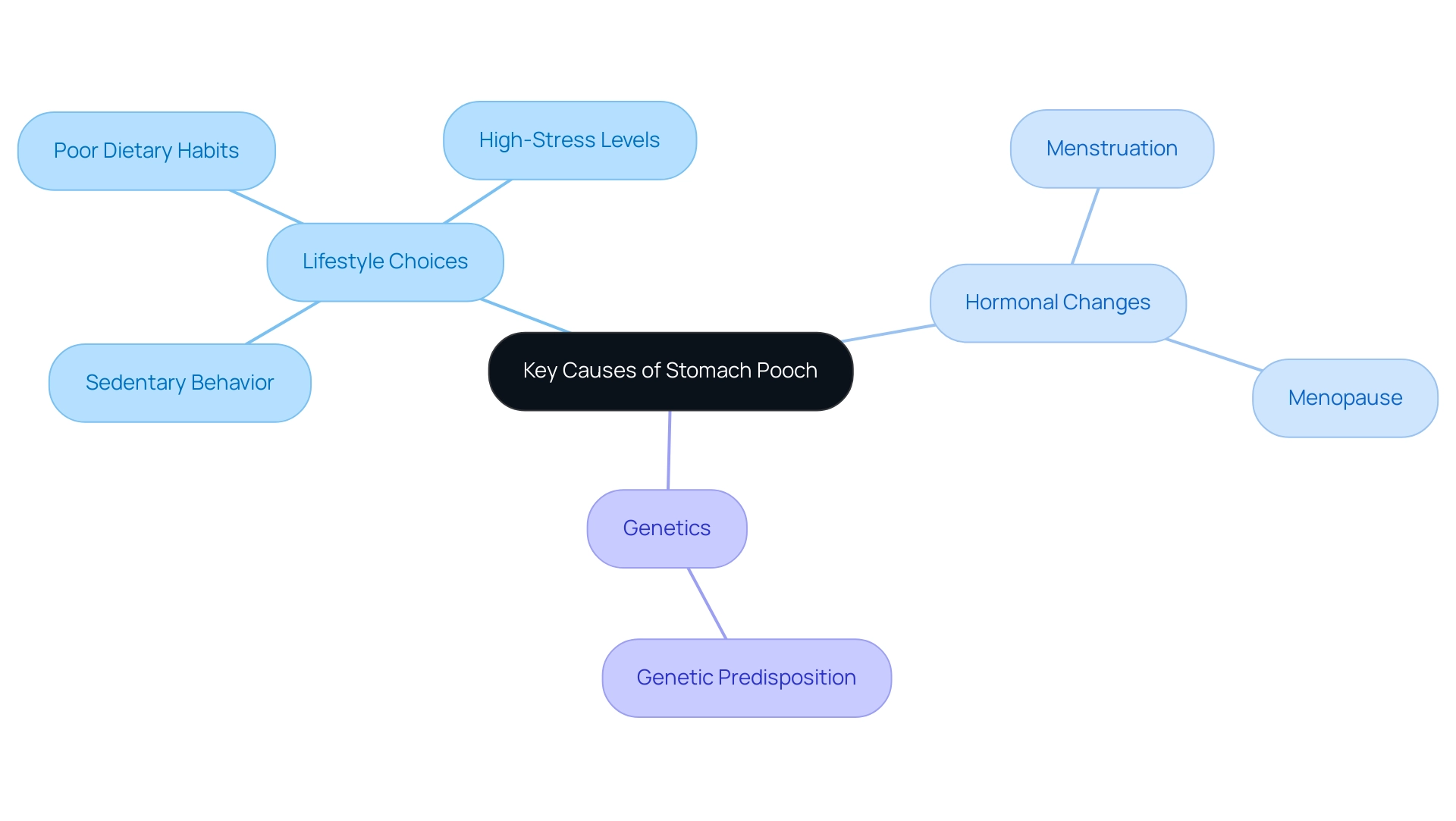 Each branch represents a major factor contributing to a stomach pooch, with sub-branches detailing specific elements related to each factor.