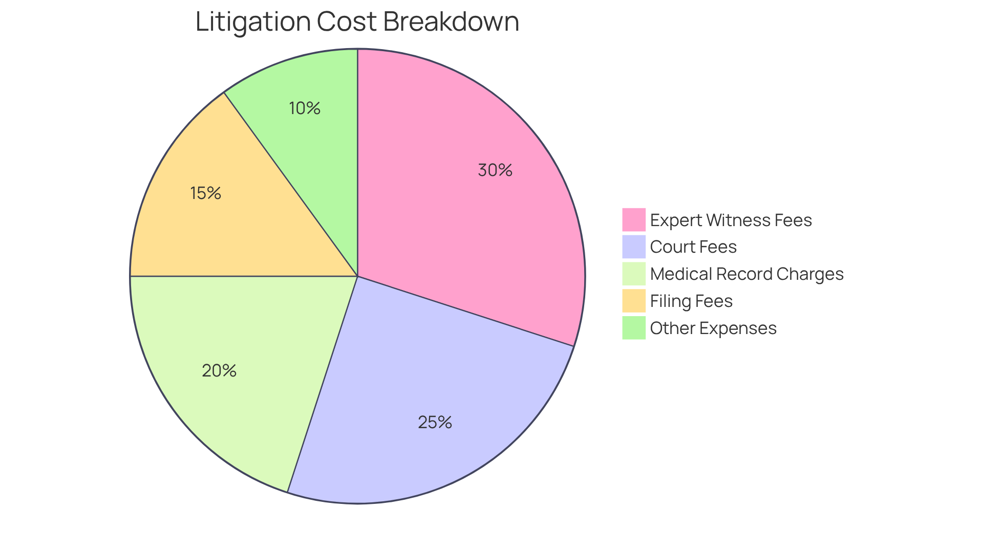 Each slice of the pie shows a different type of expense you might encounter during litigation. The larger the slice, the more significant that cost is in relation to the total expenses. Each slice of the pie shows a different type of expense you might encounter during litigation. The larger the slice, the more significant that cost is in relation to the total expenses.