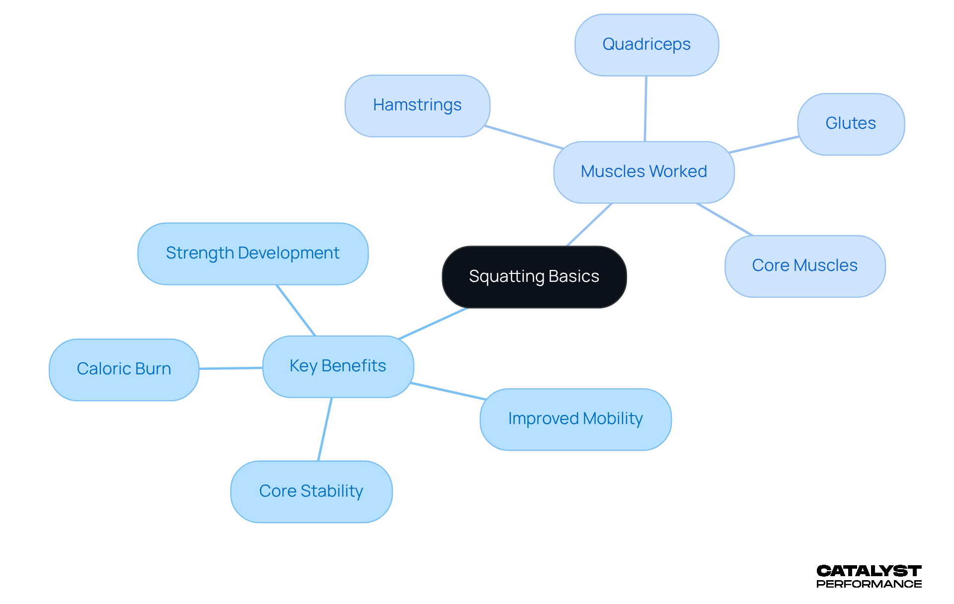 The center represents the main topic of squatting. The branches show the benefits and muscles involved, helping you see how everything connects. Each color-coded section makes it easy to follow along and understand the key points. The center represents the main topic of squatting. The branches show the benefits and muscles involved, helping you see how everything connects. Each color-coded section makes it easy to follow along and understand the key points.