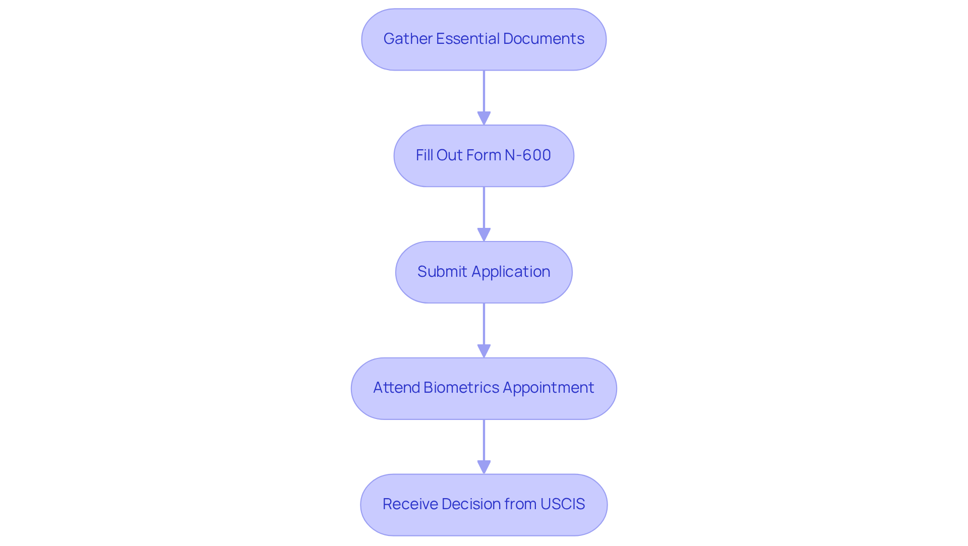 Each box represents a step you need to take in the application process. Follow the arrows to see what comes next, and remember that each step is important for securing your child's citizenship.