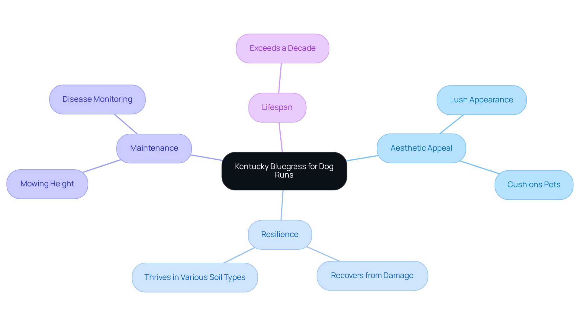 This mindmap starts with Kentucky Bluegrass at the center, branching out to show its benefits and care tips. Each branch represents a key aspect, helping you understand why this grass is perfect for homes with pets. This mindmap starts with Kentucky Bluegrass at the center, branching out to show its benefits and care tips. Each branch represents a key aspect, helping you understand why this grass is perfect for homes with pets.