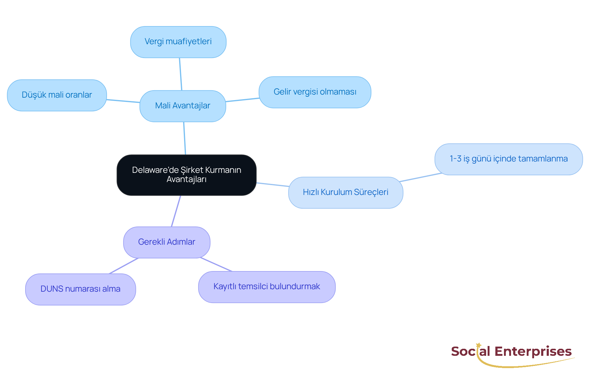 Merkezdeki başlık, Delaware'de şirket kurmanın avantajlarını gösteriyor. Dallar, her bir avantajı ve gerekli adımları temsil ediyor; daha büyük ve ana dallar, daha geniş konuları işaret ediyor. Merkezdeki başlık, Delaware'de şirket kurmanın avantajlarını gösteriyor. Dallar, her bir avantajı ve gerekli adımları temsil ediyor; daha büyük ve ana dallar, daha geniş konuları işaret ediyor.