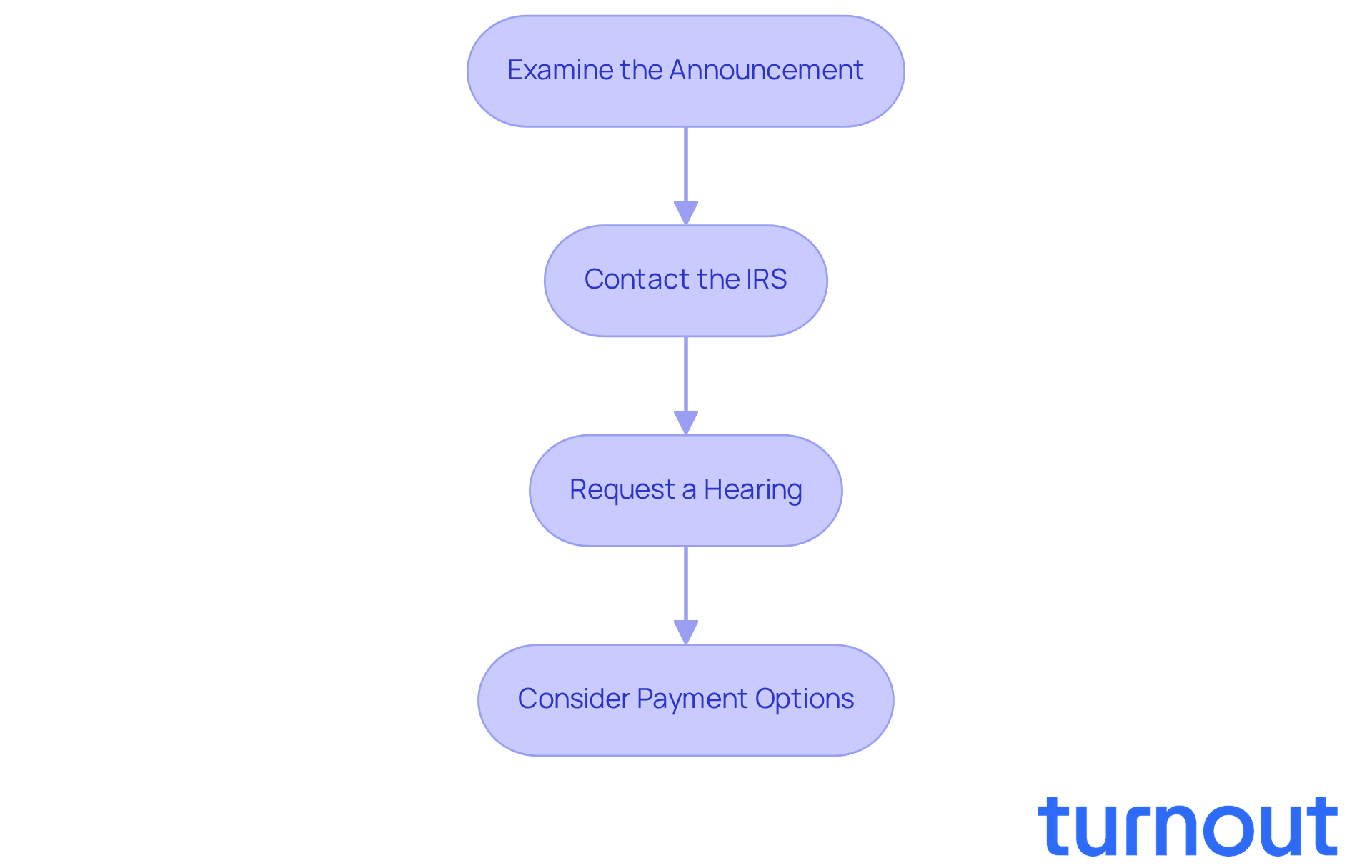 Each box represents a step you need to take if you receive a tax levy notice. Follow the arrows to see what to do next, starting from understanding the announcement to exploring payment options.