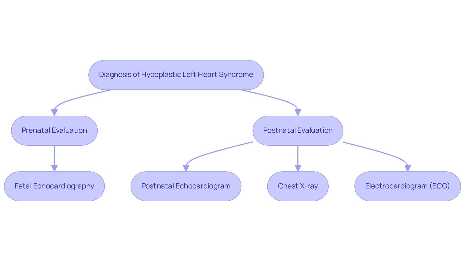 This flowchart outlines the steps taken to diagnose Hypoplastic Left Heart Syndrome, starting from prenatal evaluations to various postnatal tests. Each box represents a key step in the process, and the arrows show the order in which these evaluations occur.