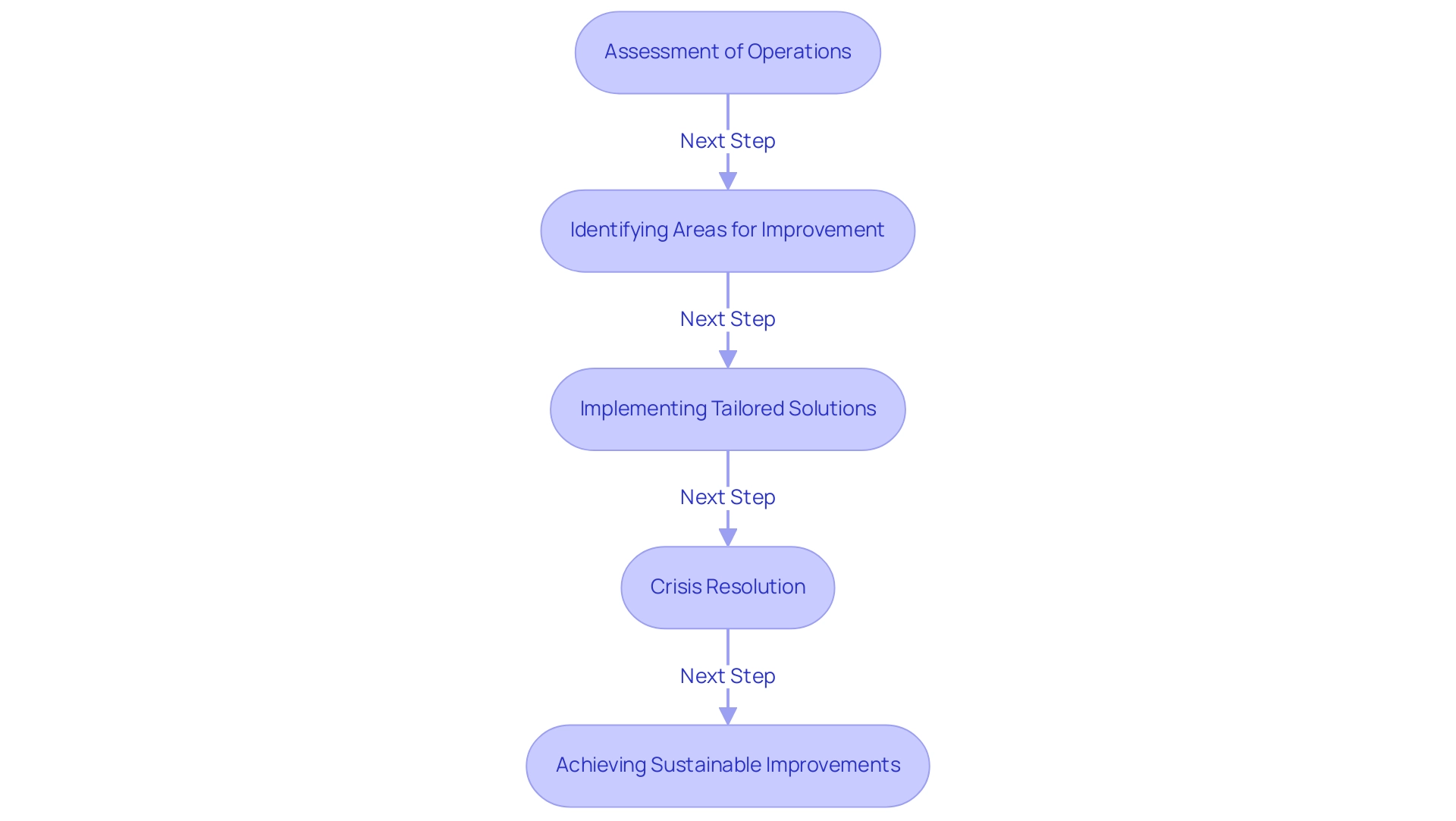 Each box represents a step in the business transformation process, and the arrows indicate the progression from assessment to sustainable improvements.