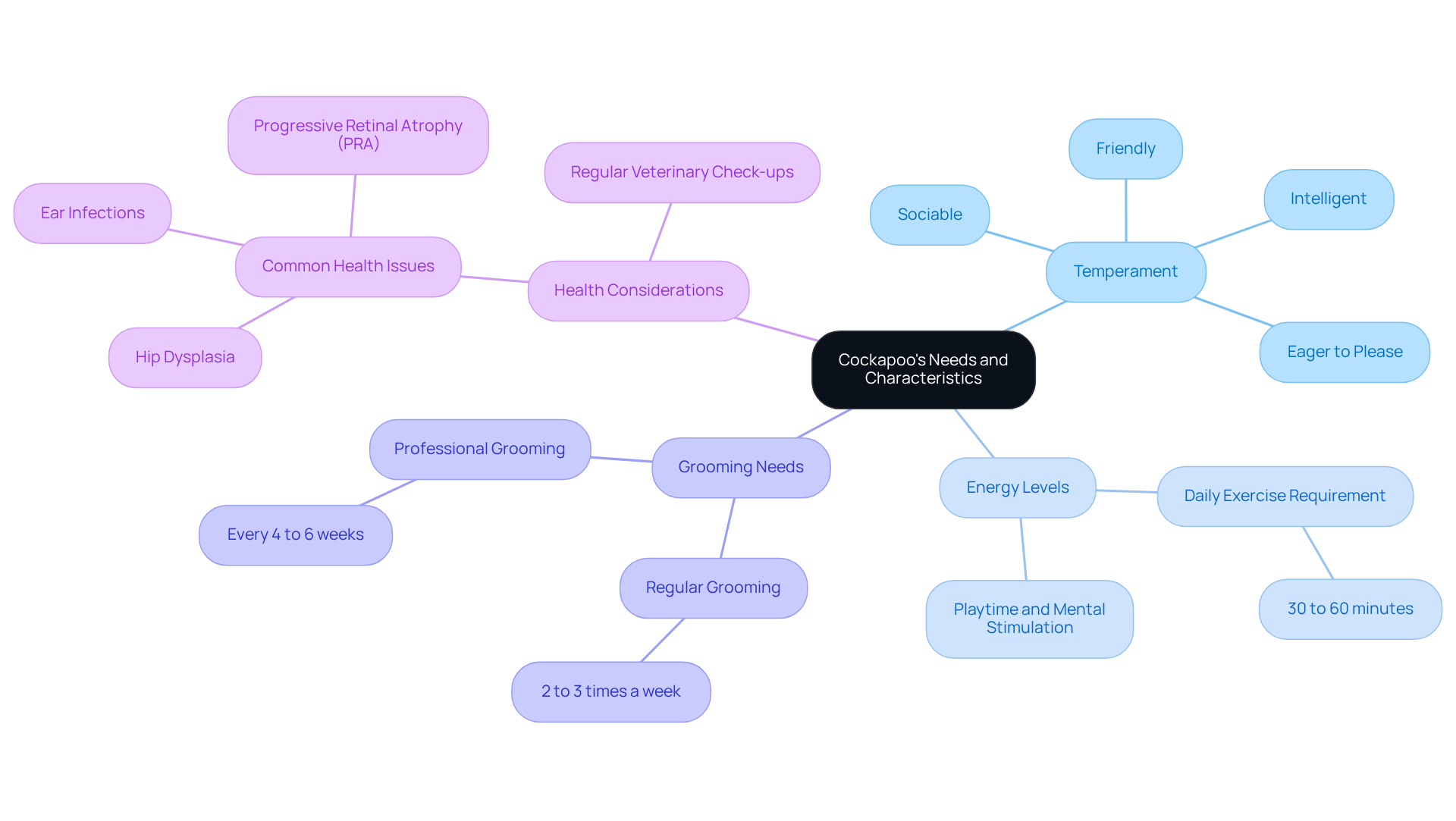 The central node represents the overall topic, while each branch breaks down the important aspects of Cockapoo care. Follow the branches to learn how to nurture your furry friend.