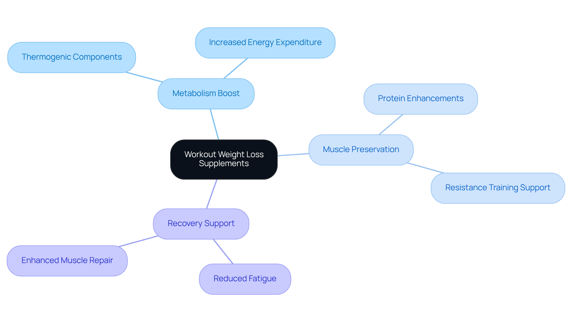 The central node represents the main topic, while the branches show how supplements help with metabolism, muscle maintenance, and recovery. Each color-coded branch highlights a different aspect of support for seniors aiming to stay active.