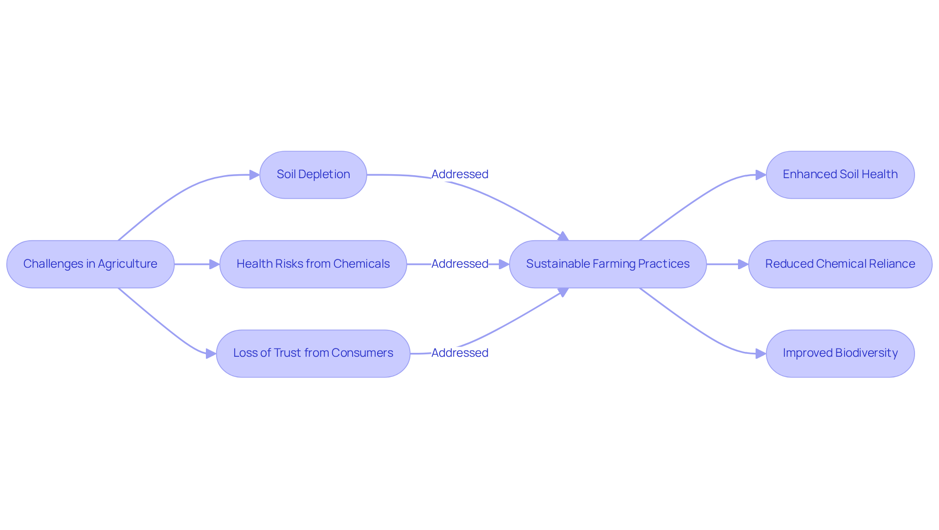 This flowchart shows the challenges faced by farmers on the left and the sustainable practices that can help on the right. Follow the arrows to see how addressing each challenge leads to a positive outcome.