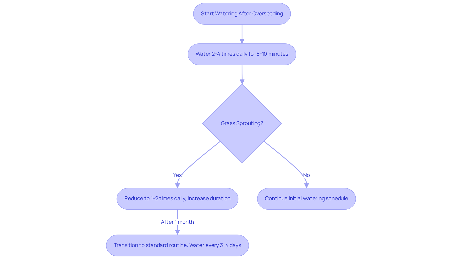 Follow the arrows to see how to water your lawn after overseeding. Each step shows what to do at different stages, helping you nurture your grass effectively. Follow the arrows to see how to water your lawn after overseeding. Each step shows what to do at different stages, helping you nurture your grass effectively.