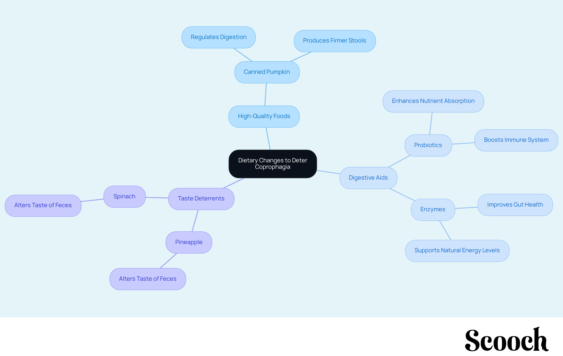 What to Put in Dog Food to Stop Eating Poop: Key Dietary Changes