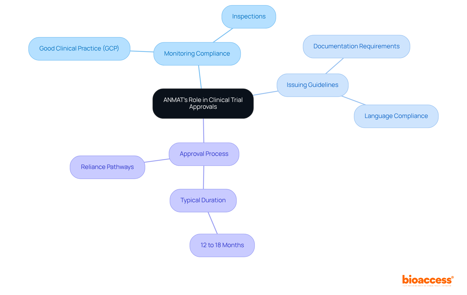 The central node represents ANMAT's overall role, while the branches show its key responsibilities and processes. Each sub-branch provides more detail on specific aspects, helping you understand how ANMAT ensures compliance and participant safety.
