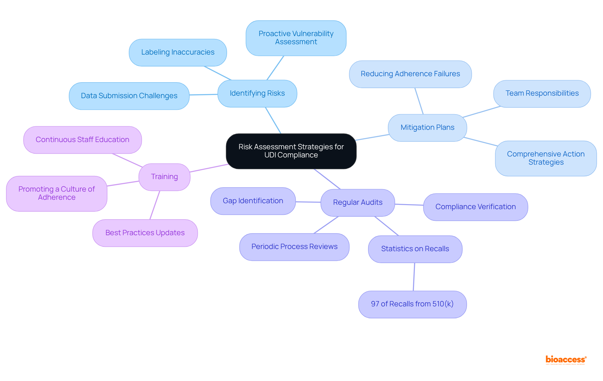 The center represents the overall goal of UDI compliance. Each branch shows a specific strategy, with further details on actions and responsibilities branching out from them.