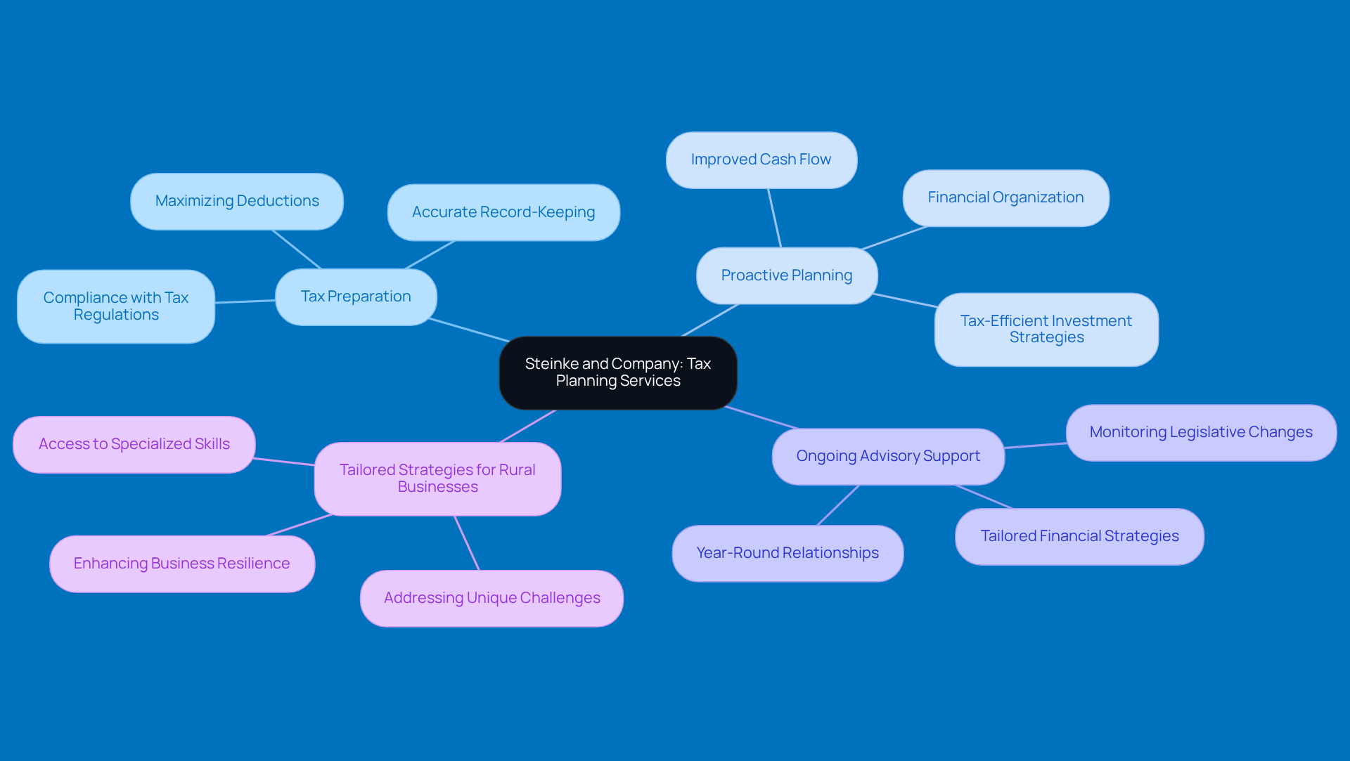 The central node represents Steinke and Company's focus on tax planning, while the branches show the different services they offer. Each sub-branch provides more detail on how these services can benefit small businesses. The central node represents Steinke and Company's focus on tax planning, while the branches show the different services they offer. Each sub-branch provides more detail on how these services can benefit small businesses.