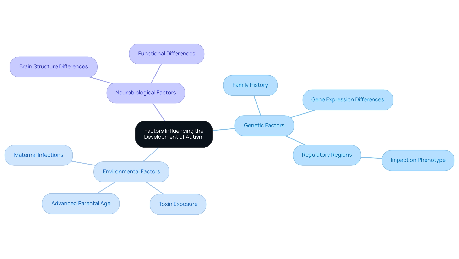 The central node represents the main topic, with branches indicating the three primary factors influencing autism development. Each sub-branch provides specific details related to the respective factor.