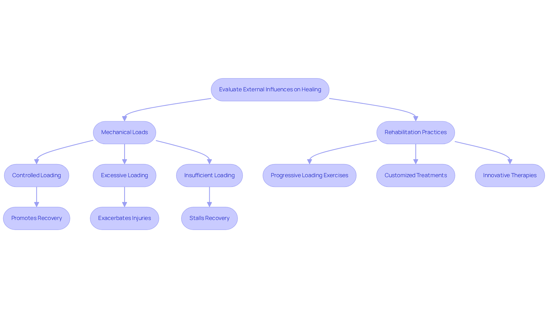 This flowchart illustrates how different factors affect your healing journey. Follow the paths to see how mechanical loads and rehabilitation practices interact, leading to various outcomes in your recovery process. This flowchart illustrates how different factors affect your healing journey. Follow the paths to see how mechanical loads and rehabilitation practices interact, leading to various outcomes in your recovery process.