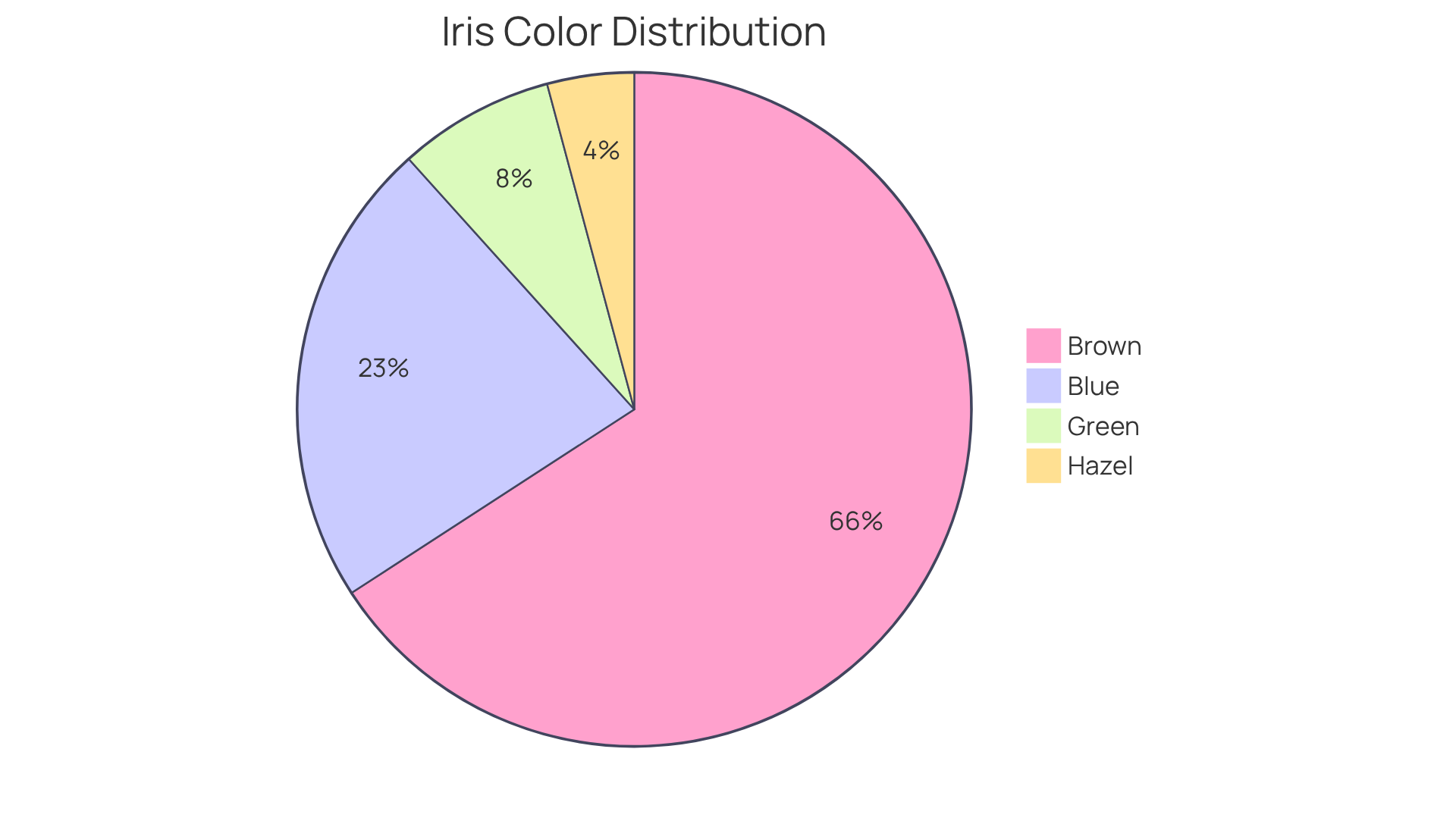 Each slice of the pie represents a different iris color. The larger the slice, the more common that color is among people. Brown is the most common, followed by blue and green. Hazel can be included as a smaller segment if desired. Each slice of the pie represents a different iris color. The larger the slice, the more common that color is among people. Brown is the most common, followed by blue and green. Hazel can be included as a smaller segment if desired.