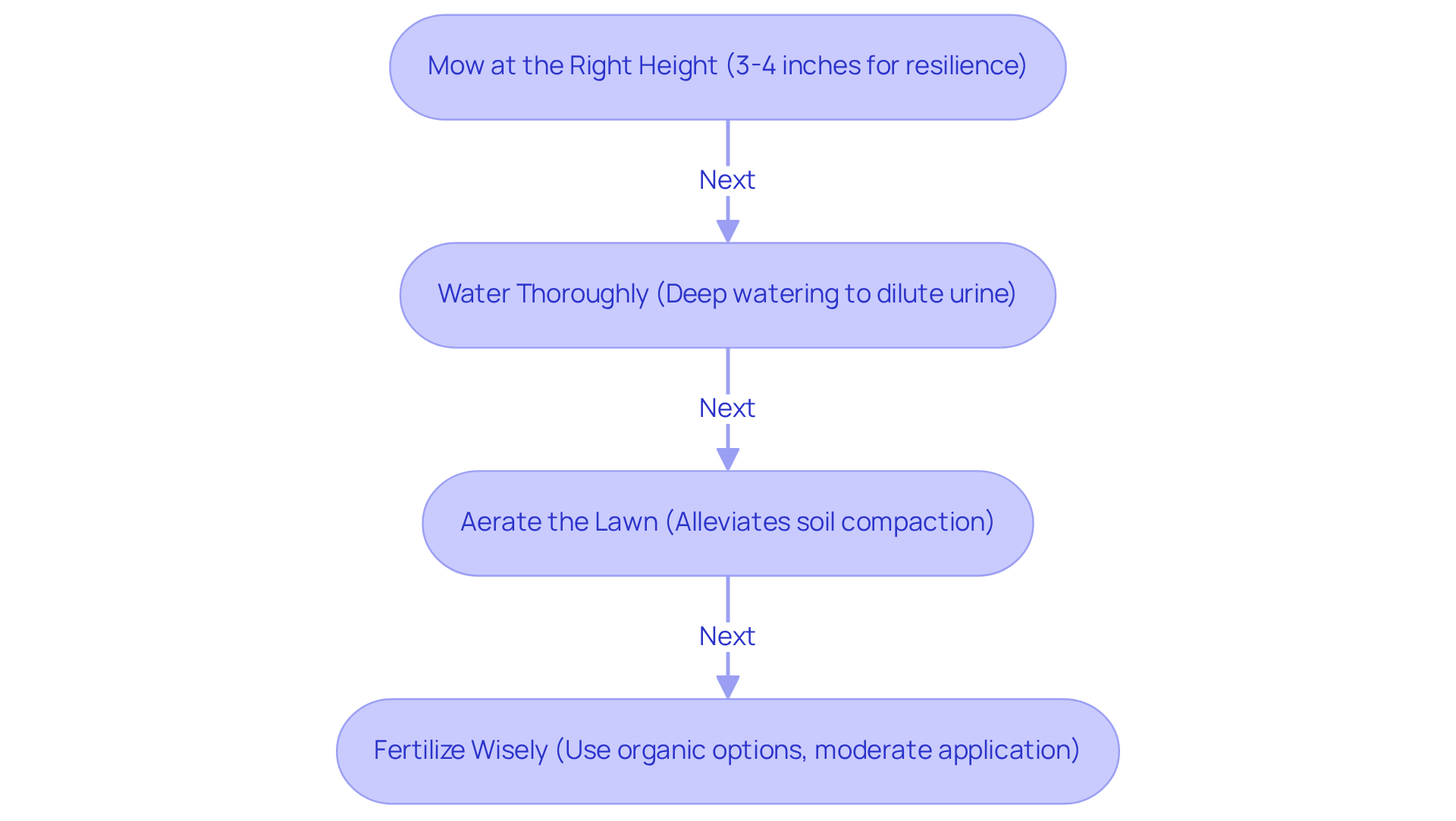 Each box represents a key practice for maintaining a healthy lawn despite pet activity. Follow the arrows to see the recommended order of actions for optimal lawn care. Each box represents a key practice for maintaining a healthy lawn despite pet activity. Follow the arrows to see the recommended order of actions for optimal lawn care.