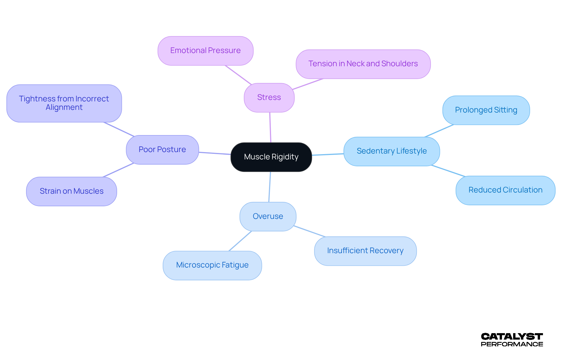 The central node represents muscle rigidity, while the branches show the main causes. Each cause is connected to its description, helping you understand how they contribute to the overall issue. The central node represents muscle rigidity, while the branches show the main causes. Each cause is connected to its description, helping you understand how they contribute to the overall issue.