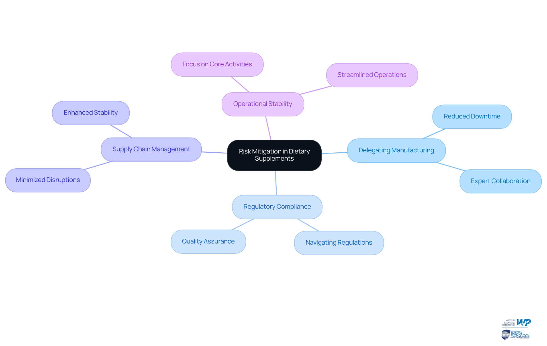The central node represents the main concept of risk mitigation, while the branches show how different strategies contribute to reducing uncertainties. Follow the branches to explore how each aspect connects to the overall goal of enhancing operational efficiency.