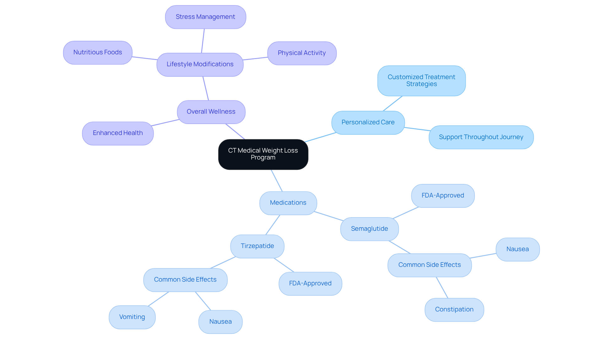 Start at the center with the main program, then explore the branches to see how personalized care, specific medications, and overall wellness contribute to successful weight loss.