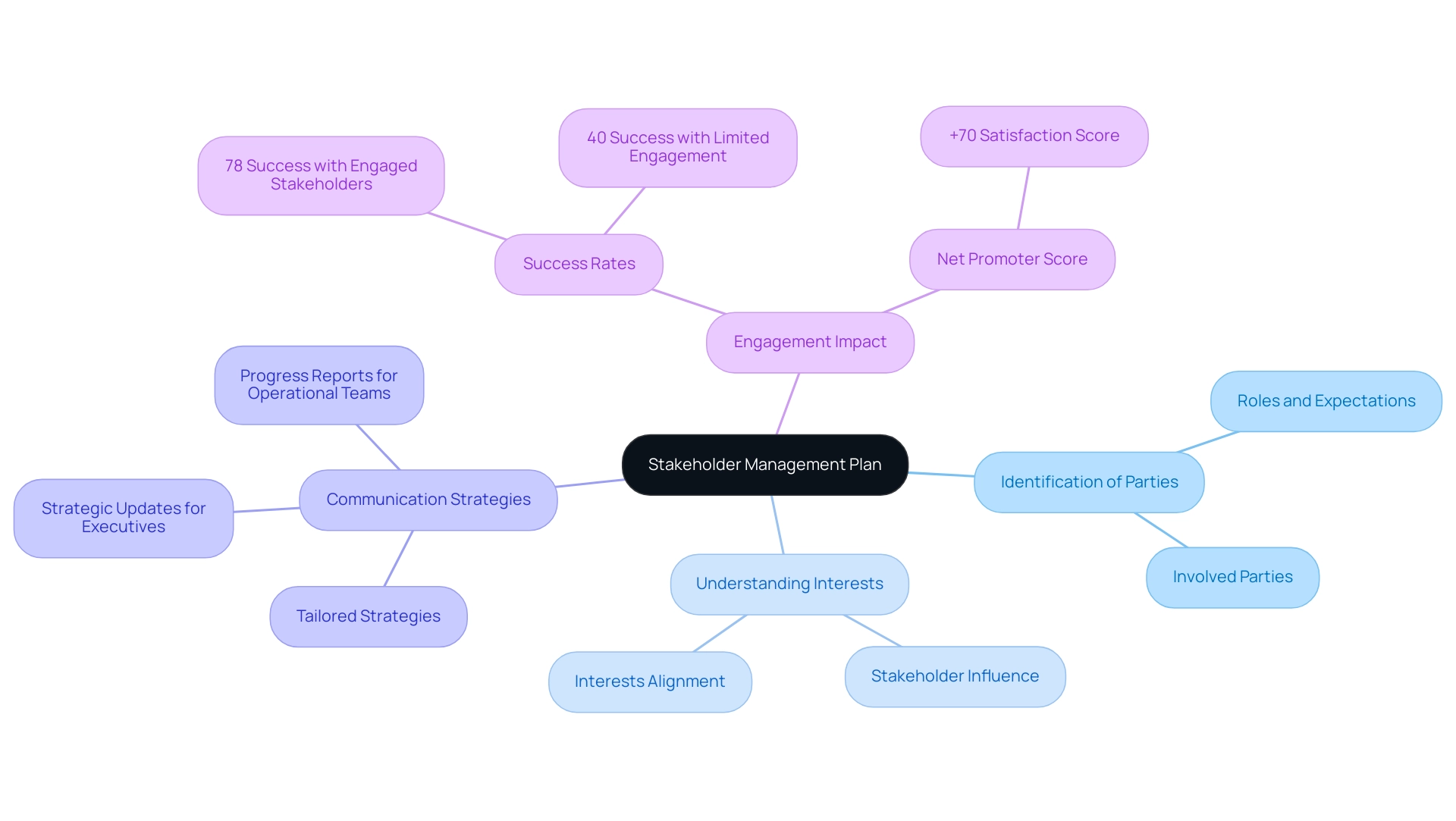 The central node represents the management plan, with branches showing key categories and their corresponding sub-elements.