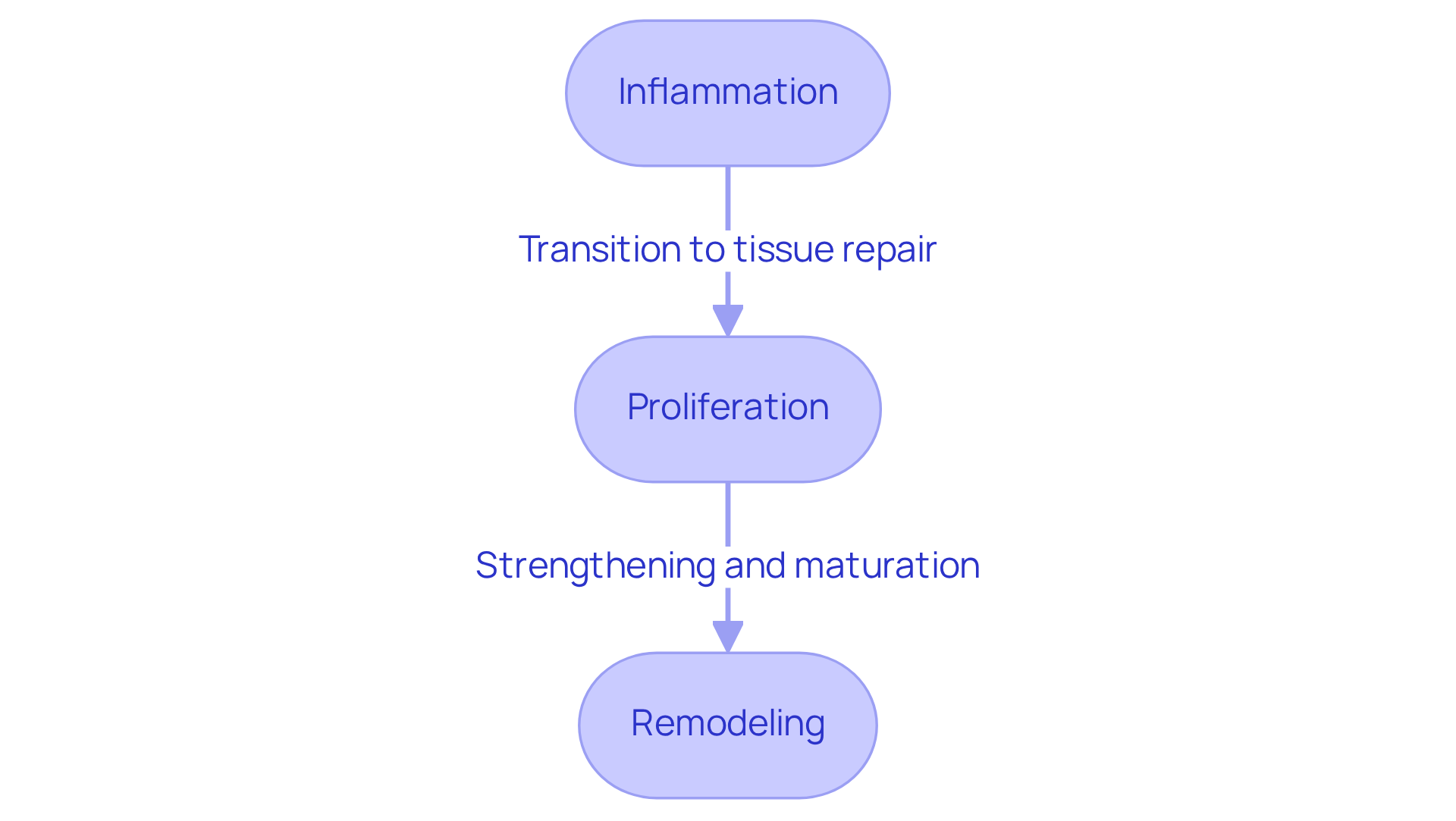 Each box represents a phase in the healing process. Follow the arrows to see how the body transitions from inflammation to tissue repair and finally to remodeling.