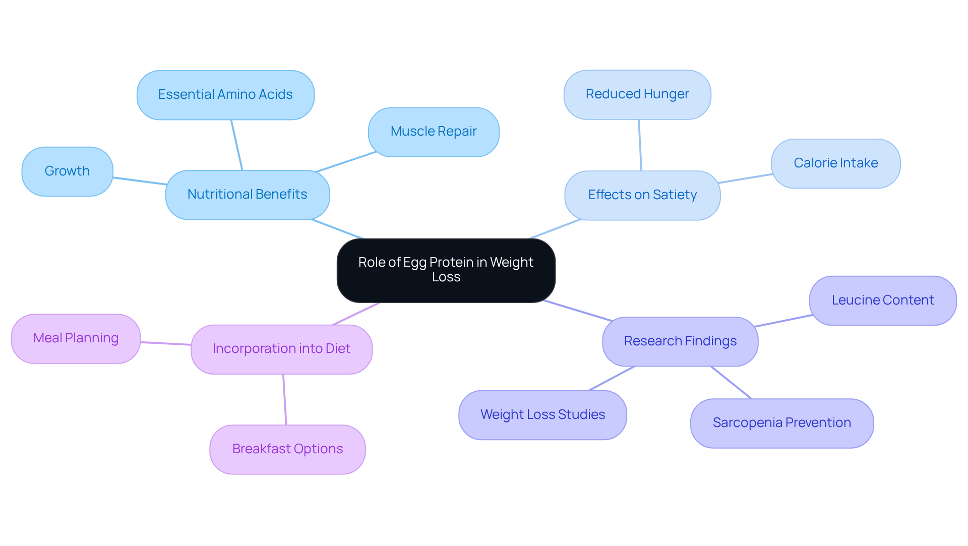 The central idea is about egg protein and its benefits for weight loss. Each branch represents a different aspect, showing how they all connect back to the main topic. Follow the branches to explore each benefit and research finding.