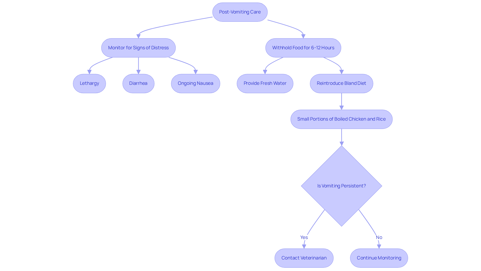 This flowchart shows the steps to take after your dog vomits. Follow the arrows to see what to monitor, when to feed, and what actions to take based on your dog's condition.
