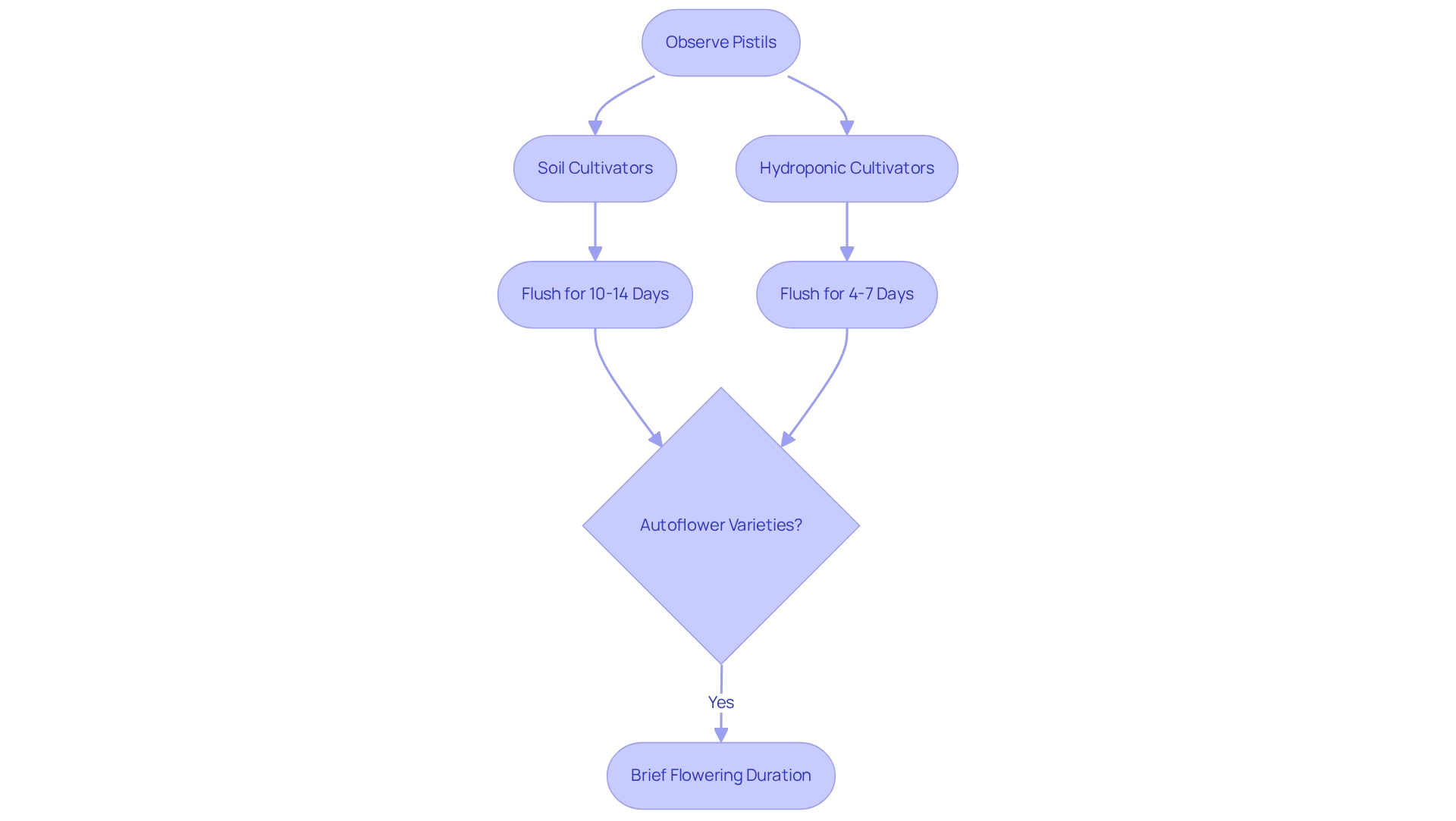 This flowchart guides you through the critical steps for monitoring pistils and the corresponding care for soil and hydroponic cultivation methods, emphasizing the importance of timing and actions for successful harvests.