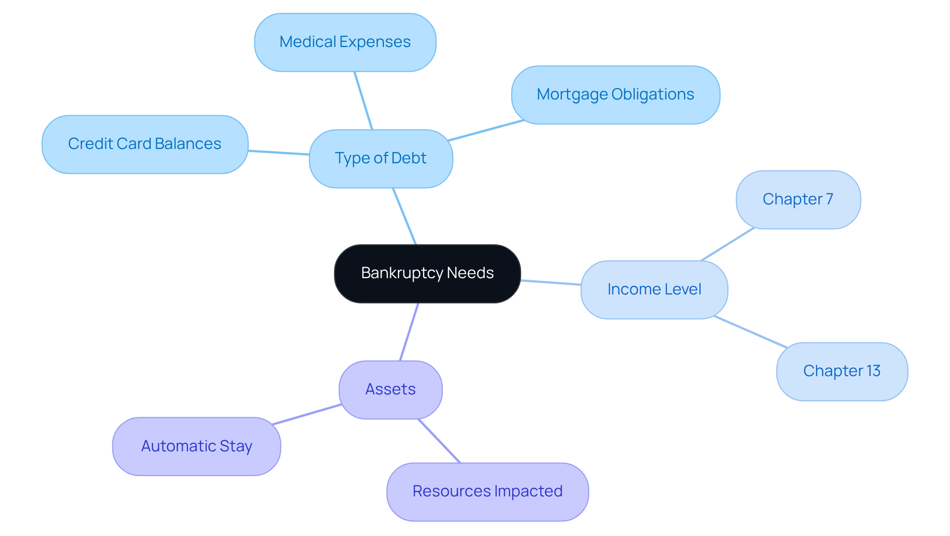 Start at the center with your bankruptcy needs, then explore each branch to see the factors that will help you choose the right attorney. Each color represents a different category of needs.