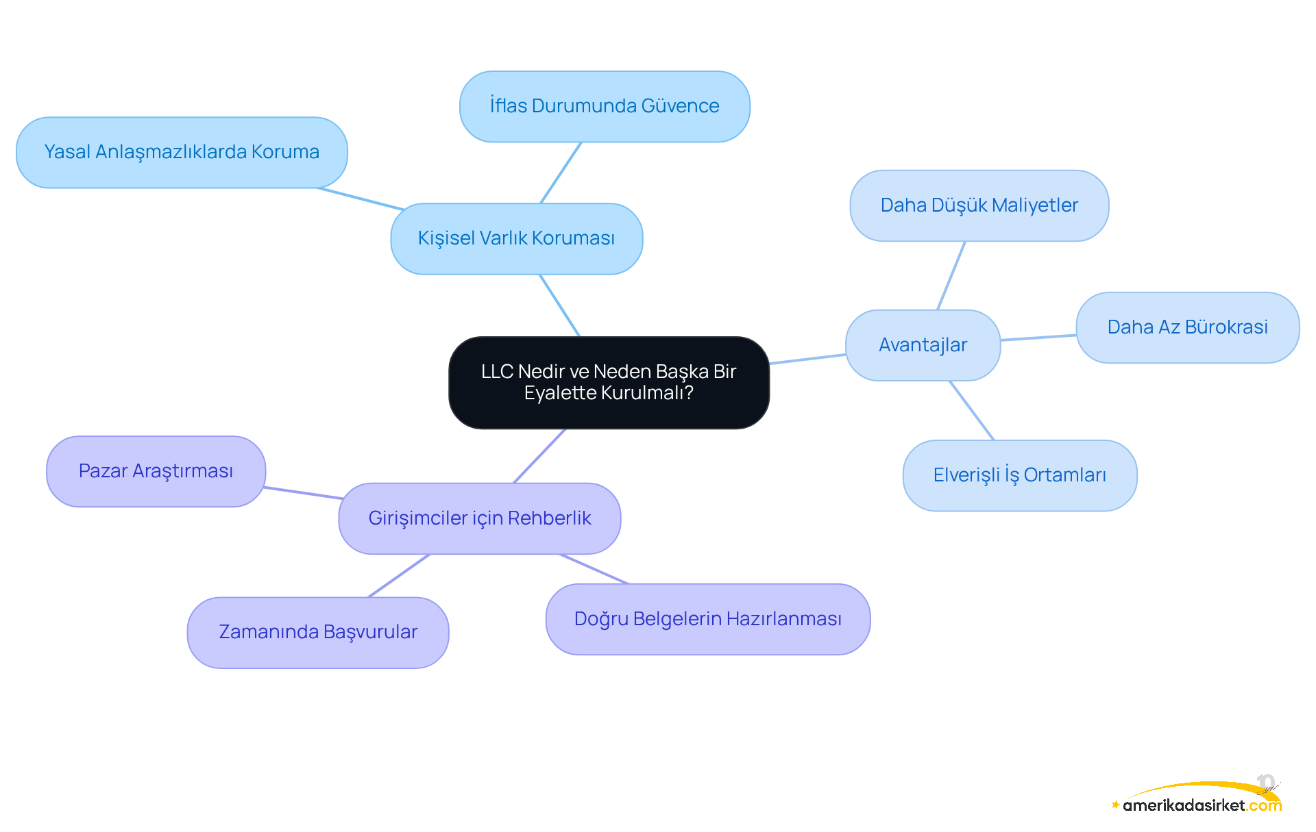 Merkezde LLC'nin tanımı var. Dallara bakarak LLC'nin sağladığı koruma ve avantajları görebilirsiniz. Her dal, LLC'nin farklı yönlerini temsil ediyor; daha fazla bilgi için dallara göz atabilirsiniz.