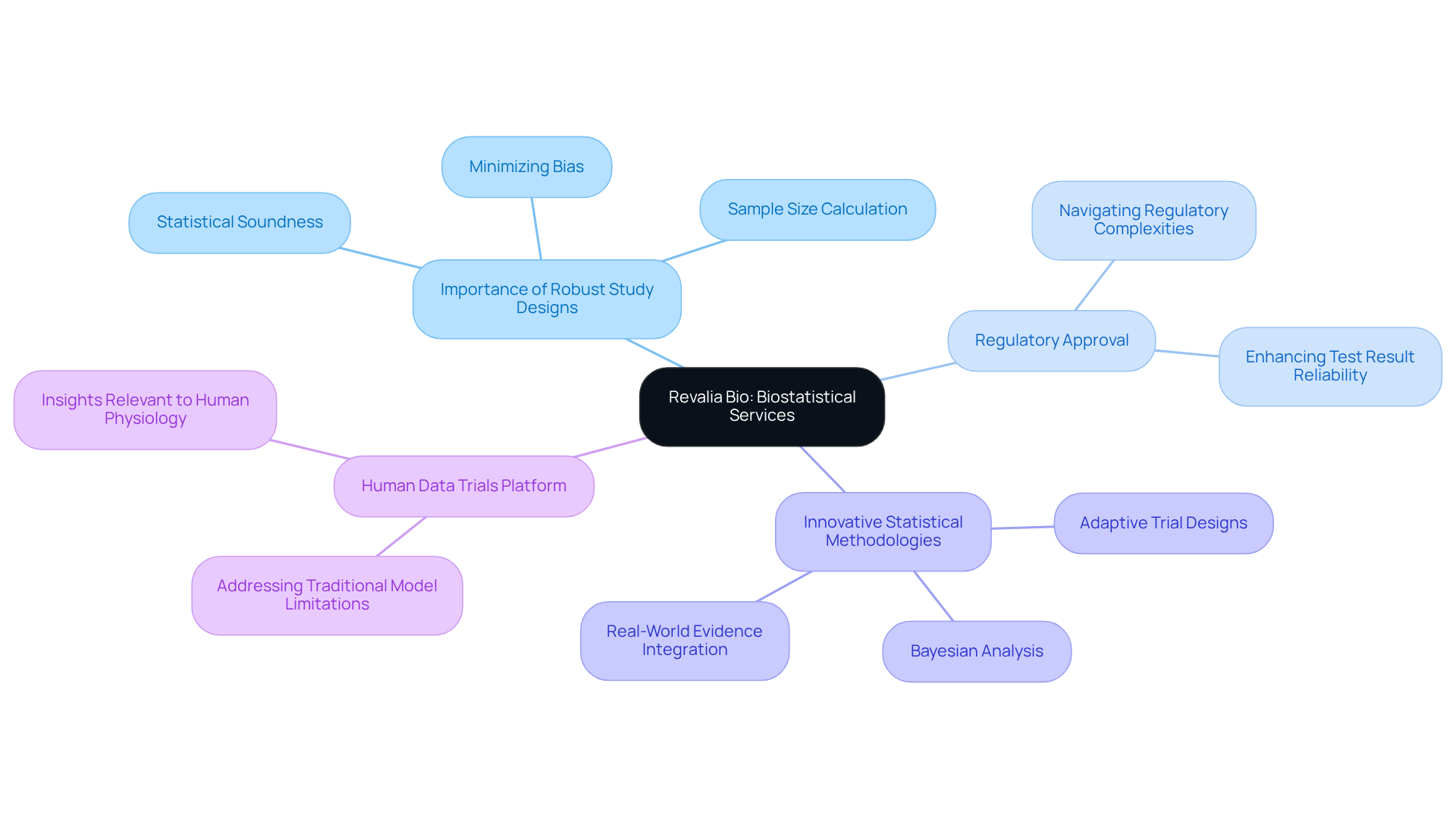 The central node represents Revalia Bio's services, while the branches illustrate key aspects of how biostatistics supports drug development. Follow the branches to understand the connections and contributions to clinical research.