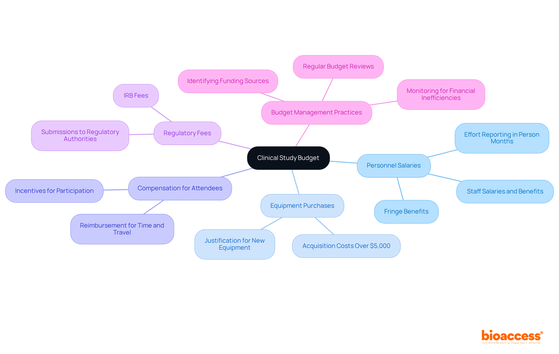 The central node represents the overall budget, while the branches show different cost categories and processes involved in financial planning. Each color-coded branch helps you quickly identify key areas of focus.