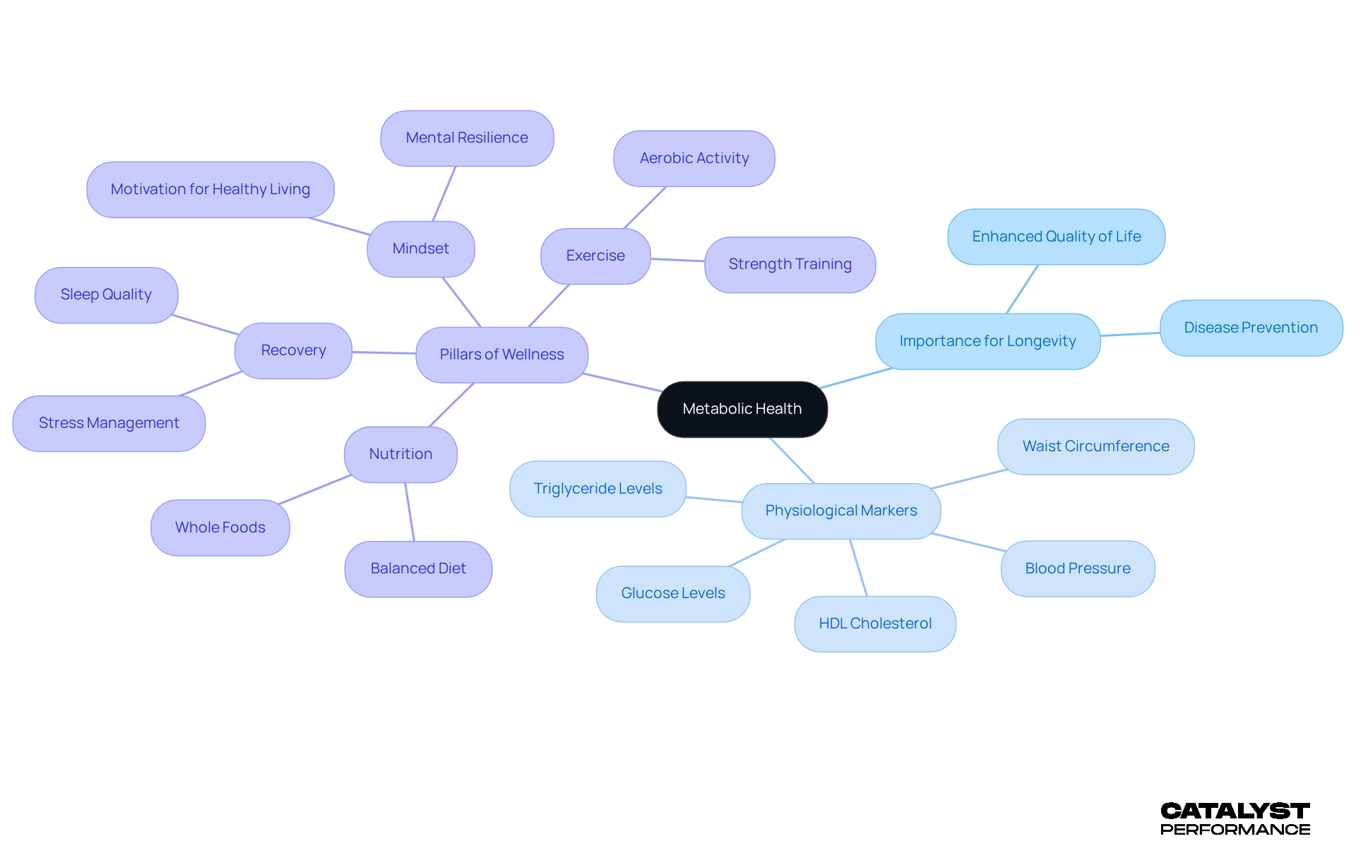The central node represents metabolic health, while the branches show how it connects to longevity, disease prevention, and key wellness factors. Each color-coded branch helps you see the relationships and importance of each aspect.