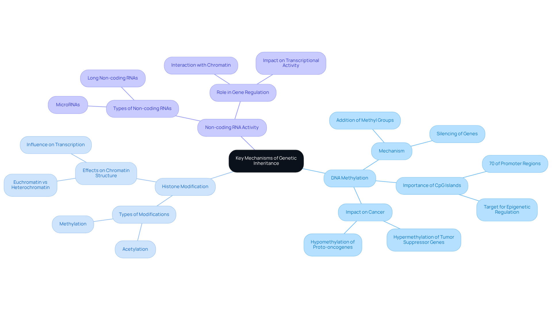 The central node represents the main topic, while the branches show the key mechanisms. Each sub-branch provides additional details about how these mechanisms function and their implications for gene regulation.