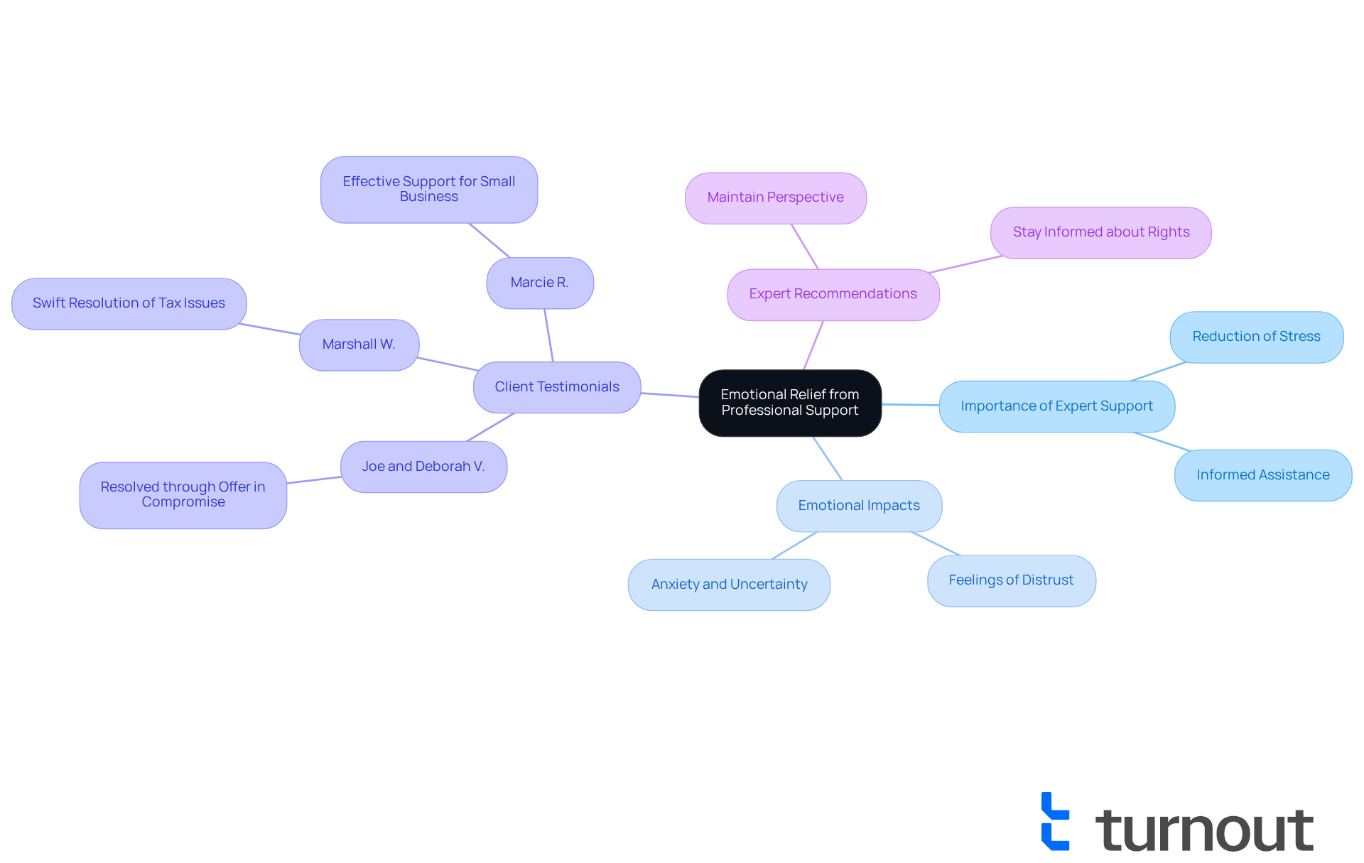 This mindmap illustrates how professional support can alleviate anxiety during IRS reviews. Each branch represents a different aspect of this support, from client experiences to expert advice. Follow the branches to see how they connect back to the central theme of emotional relief.