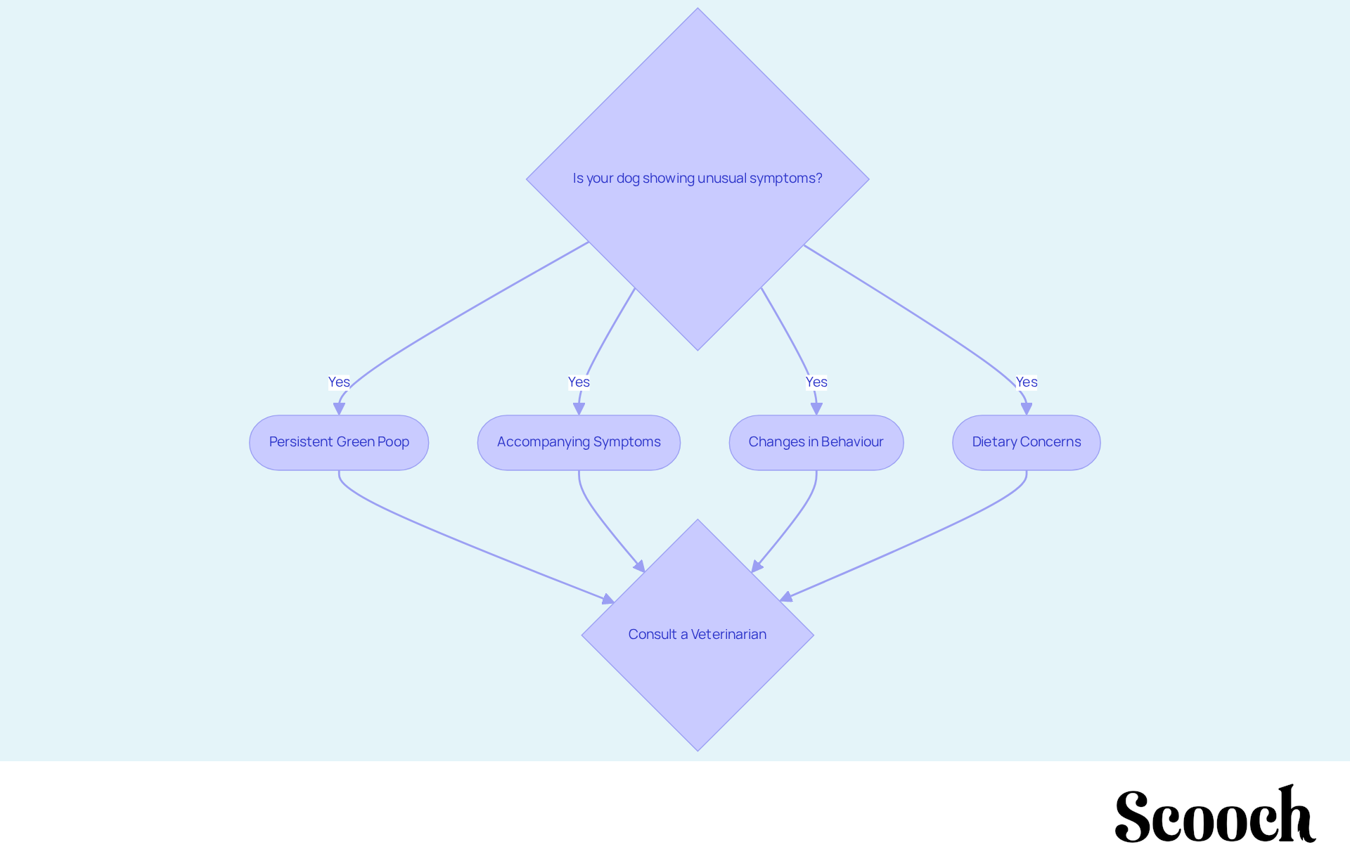 Follow the flow from the top question to see if your dog's symptoms indicate a need for veterinary help. Each box represents a symptom to consider, leading you to the important decision of consulting a vet.