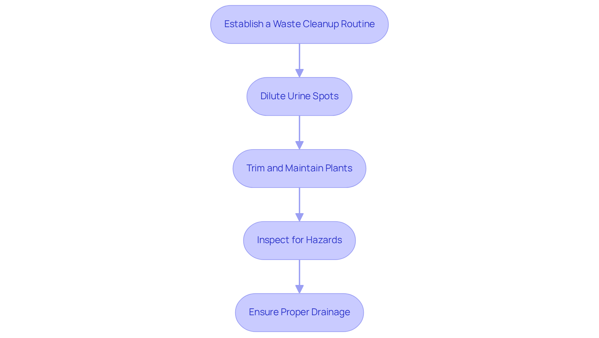 Each box represents an important action to keep your yard safe and enjoyable for dogs. Follow the arrows to see the order of tasks you should perform.