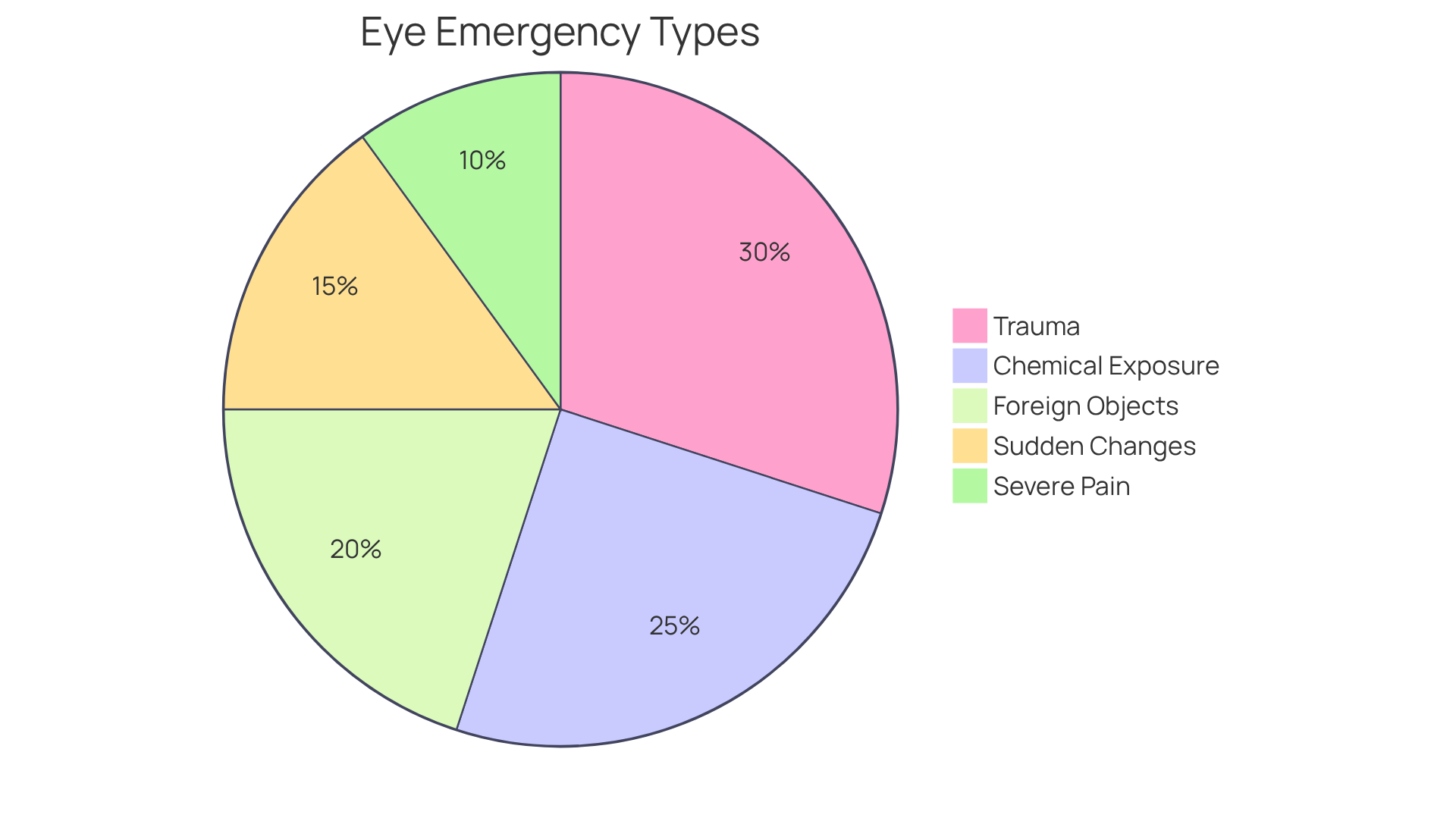 Each slice of the pie represents a different type of eye emergency. The size of each slice indicates how common that emergency is, helping you understand which situations are most urgent to recognize.