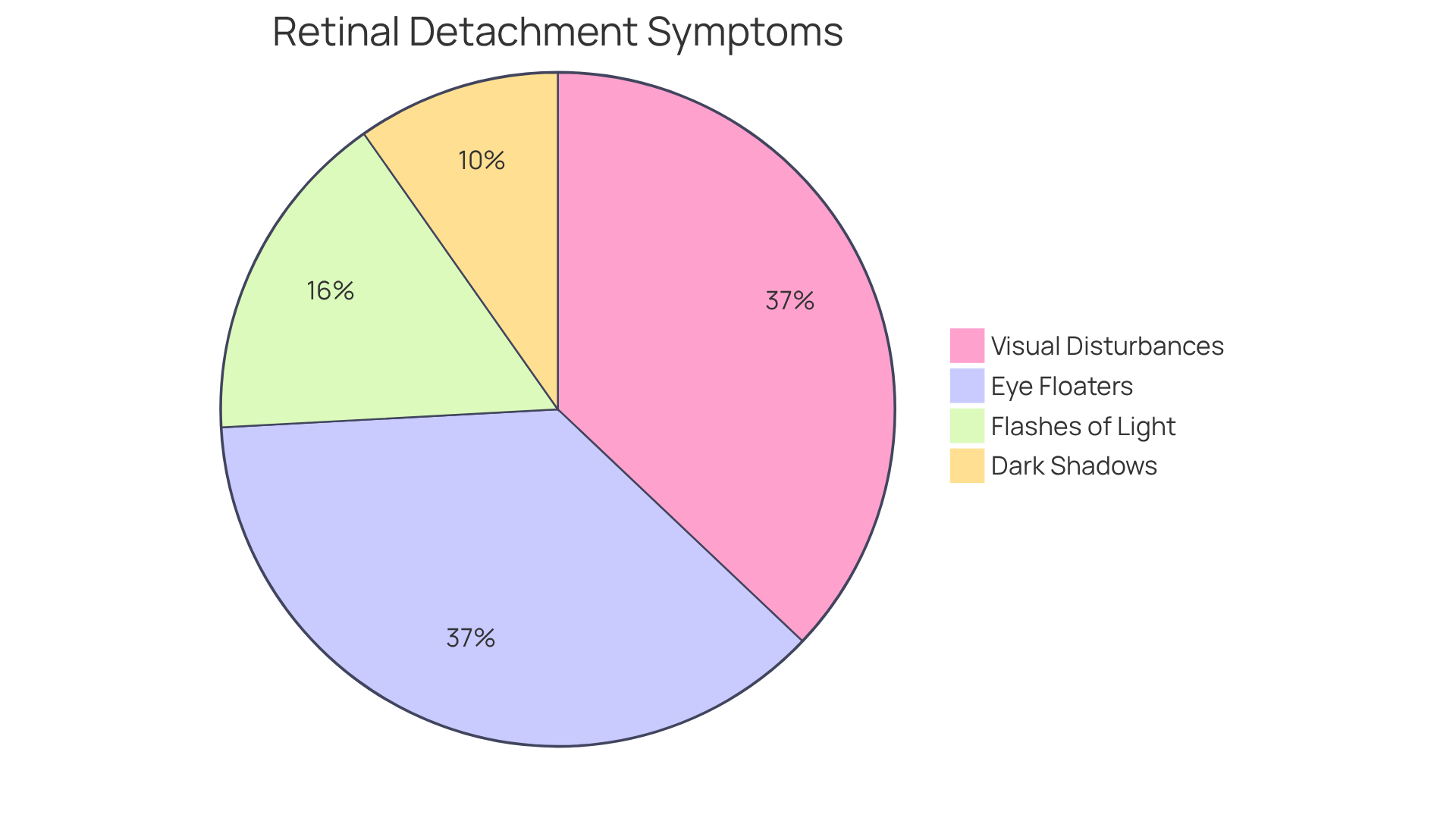 Each slice of the pie chart shows how many people experience different symptoms related to retinal detachment and eye floaters. The larger the slice, the more common that symptom is among individuals.