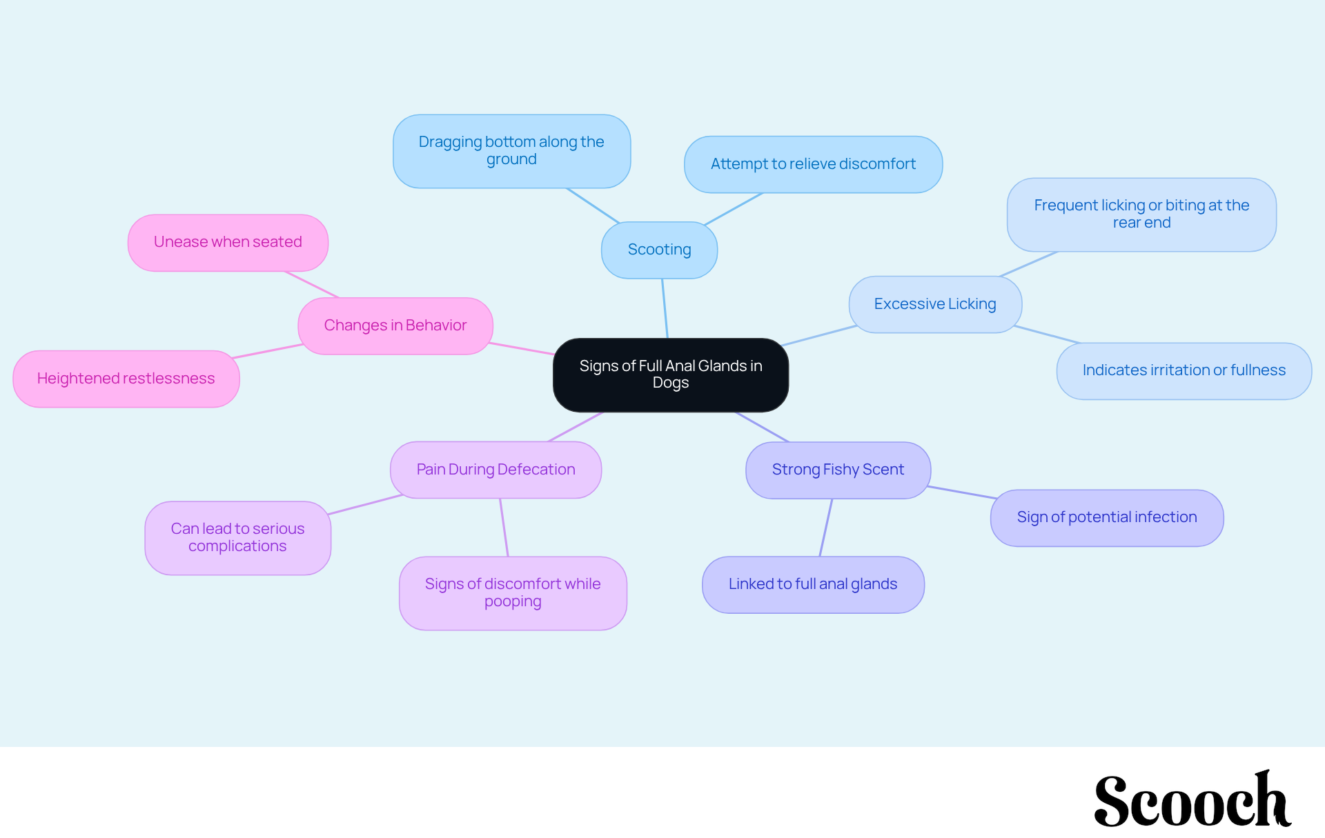 The central node represents the main health concern, while each branch shows a specific sign that may indicate full anal glands. Follow the branches to understand what to look for in your dog.