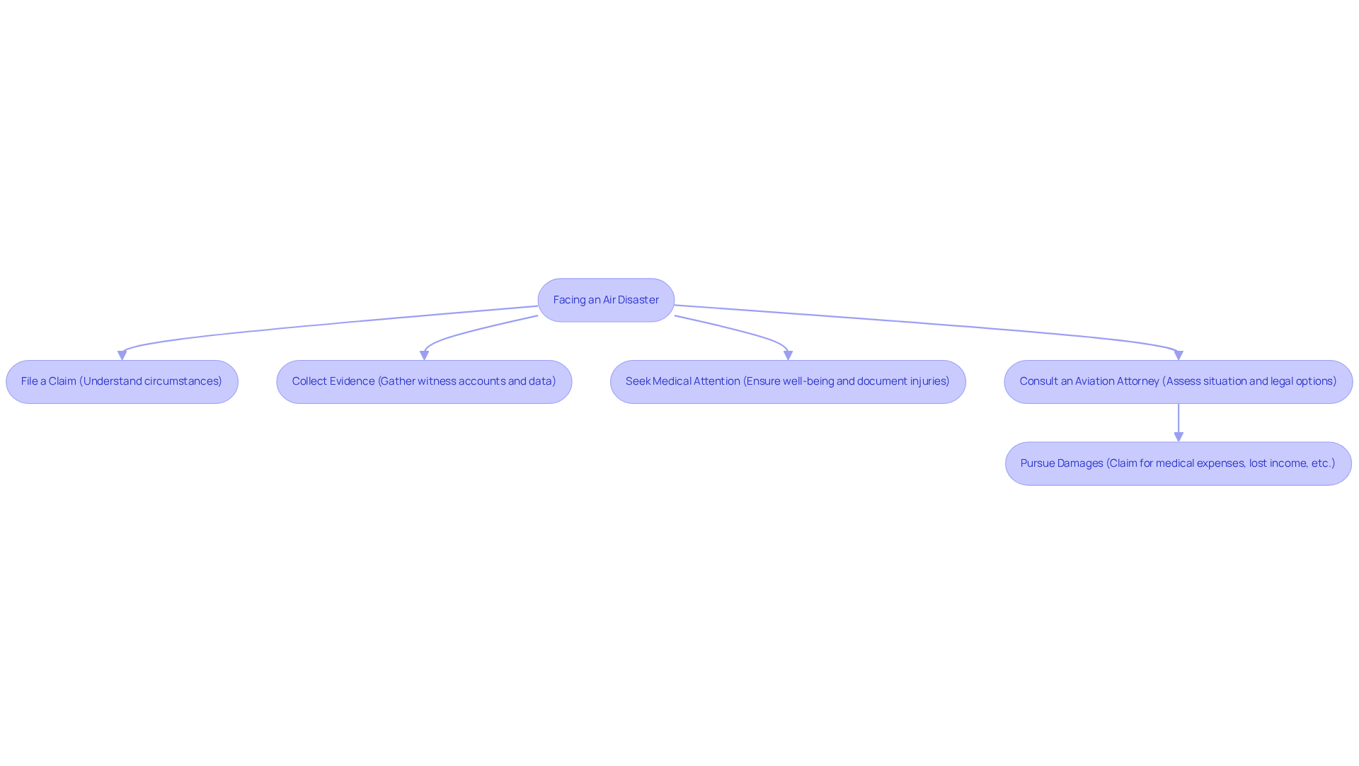 This flowchart guides you through the steps to take after an air disaster. Start at the top and follow the arrows to see what actions to take next, from filing a claim to pursuing damages. Each box explains what you need to do at that stage. This flowchart guides you through the steps to take after an air disaster. Start at the top and follow the arrows to see what actions to take next, from filing a claim to pursuing damages. Each box explains what you need to do at that stage.