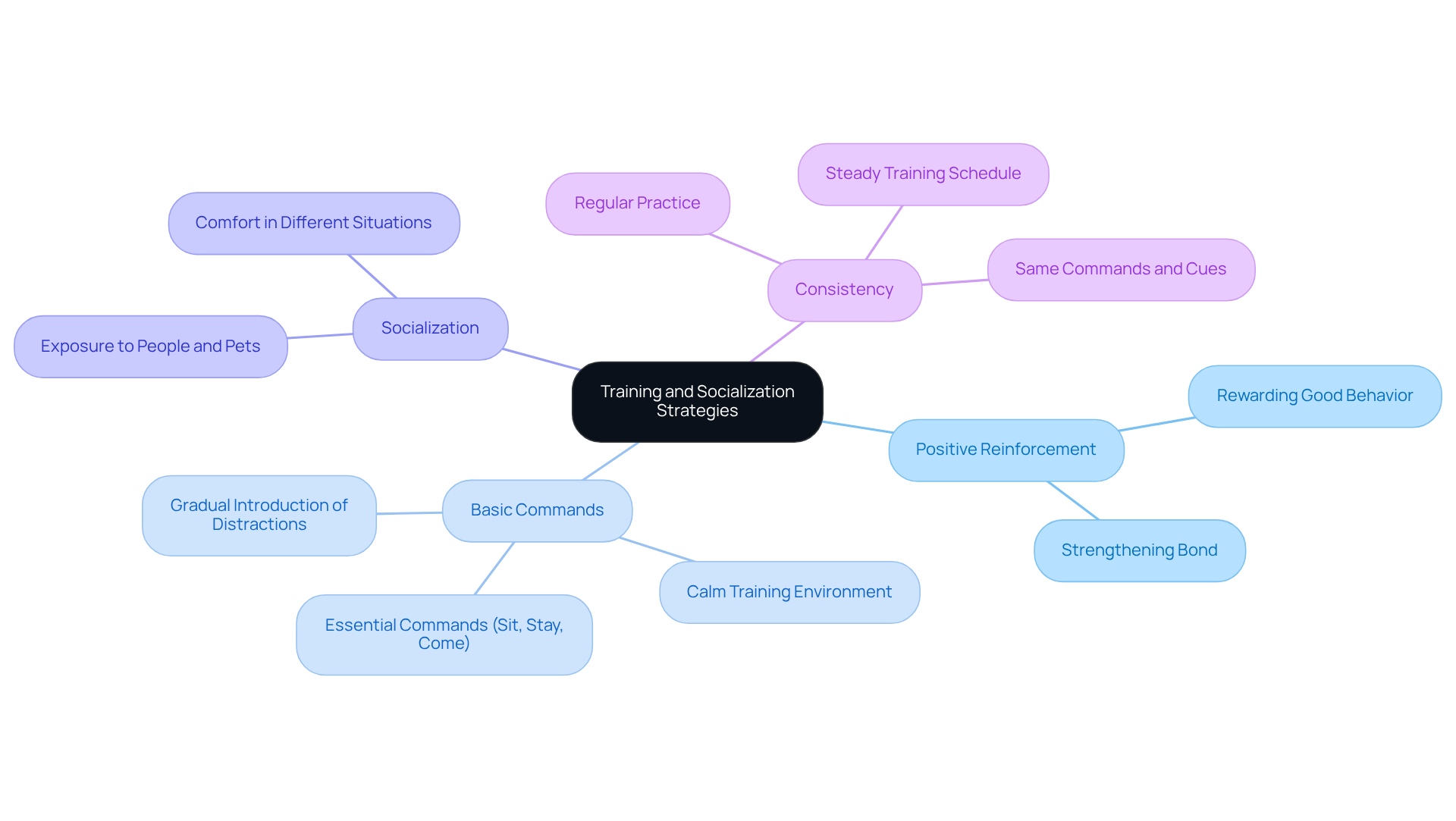 The center shows the main focus of training your Mini Dachshund. Each branch highlights a key strategy, helping you understand the different elements that contribute to making your dog feel loved and secure.