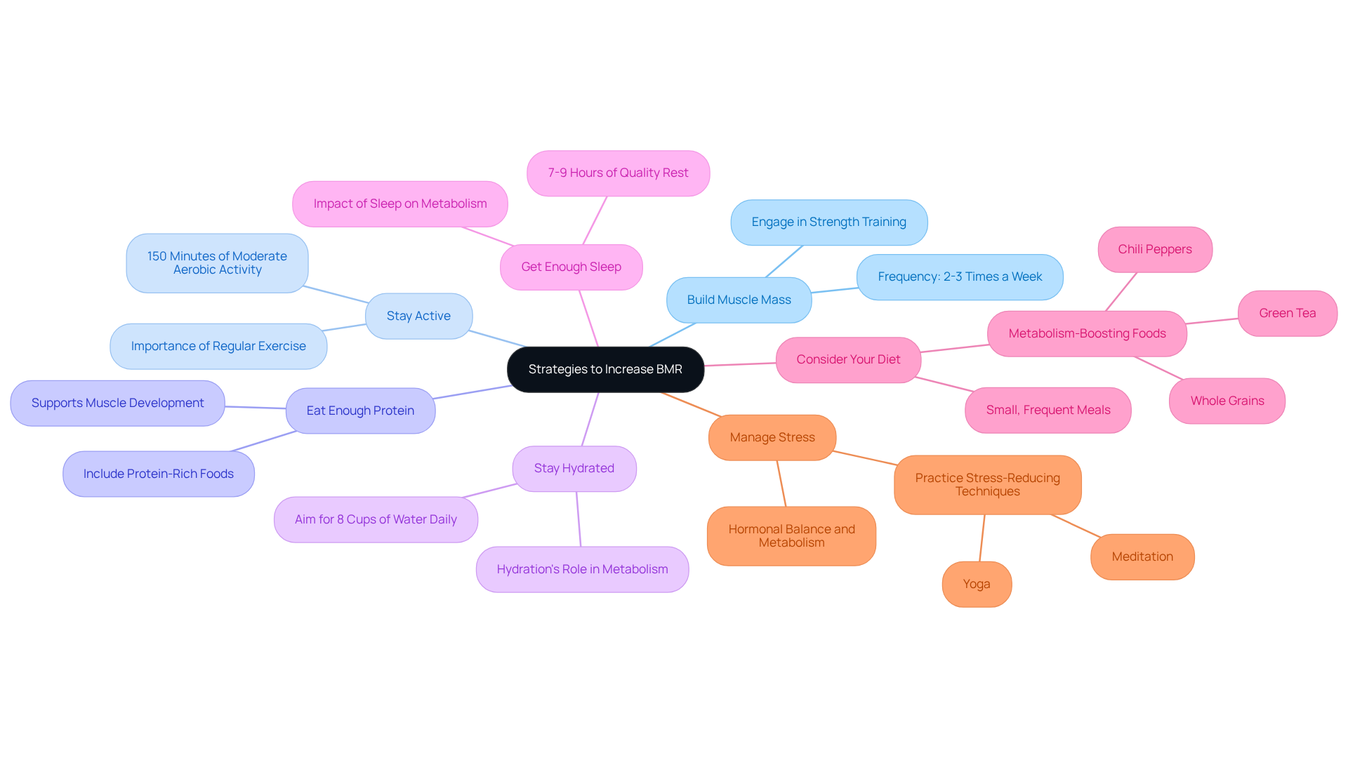 This mindmap starts with the main goal of increasing your BMR at the center. Each branch represents a different strategy you can implement. Follow the branches to explore each strategy and see how they connect to your overall goal of a healthier metabolism. This mindmap starts with the main goal of increasing your BMR at the center. Each branch represents a different strategy you can implement. Follow the branches to explore each strategy and see how they connect to your overall goal of a healthier metabolism.