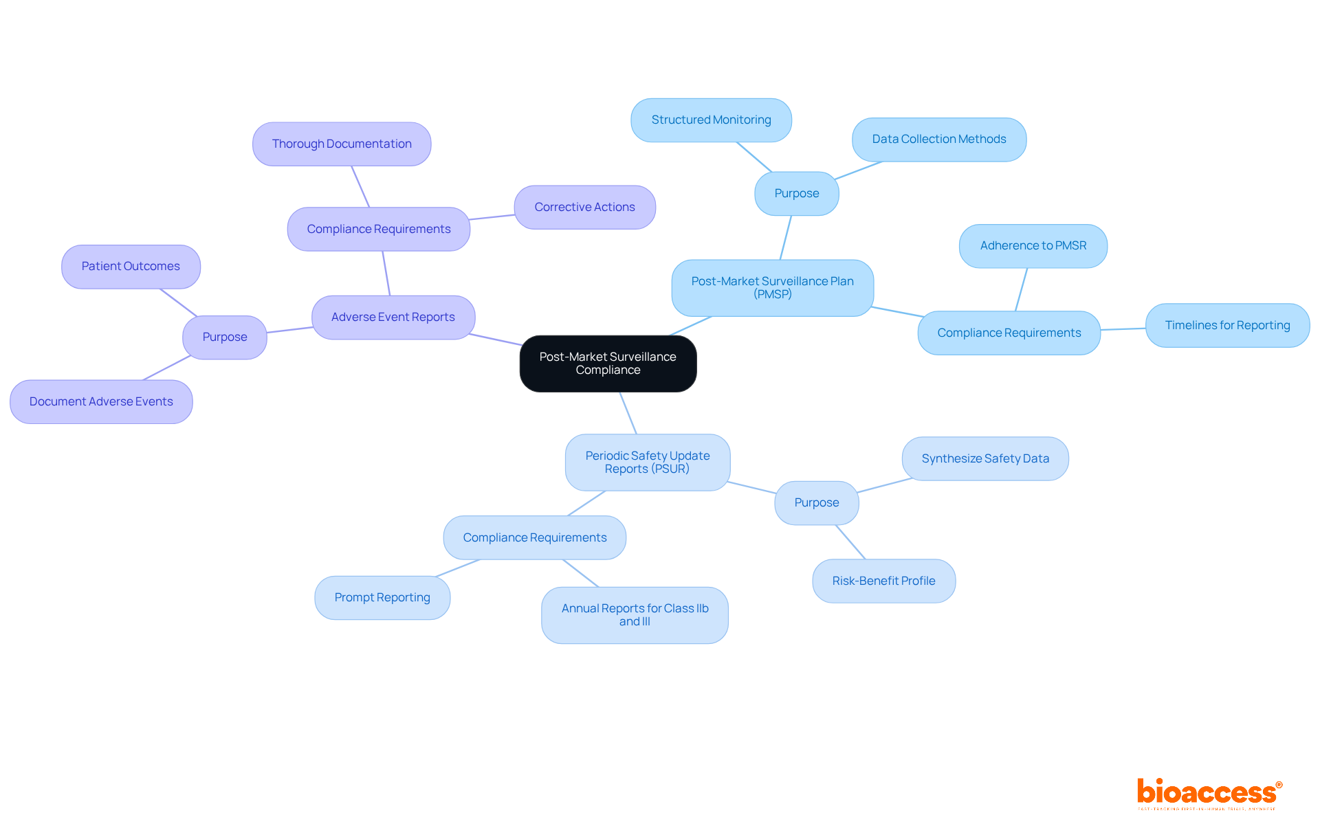 The center represents the overall compliance strategy, while the branches show the essential documents needed. Each document's sub-branches provide details on its role and importance in the compliance process. The center represents the overall compliance strategy, while the branches show the essential documents needed. Each document's sub-branches provide details on its role and importance in the compliance process.