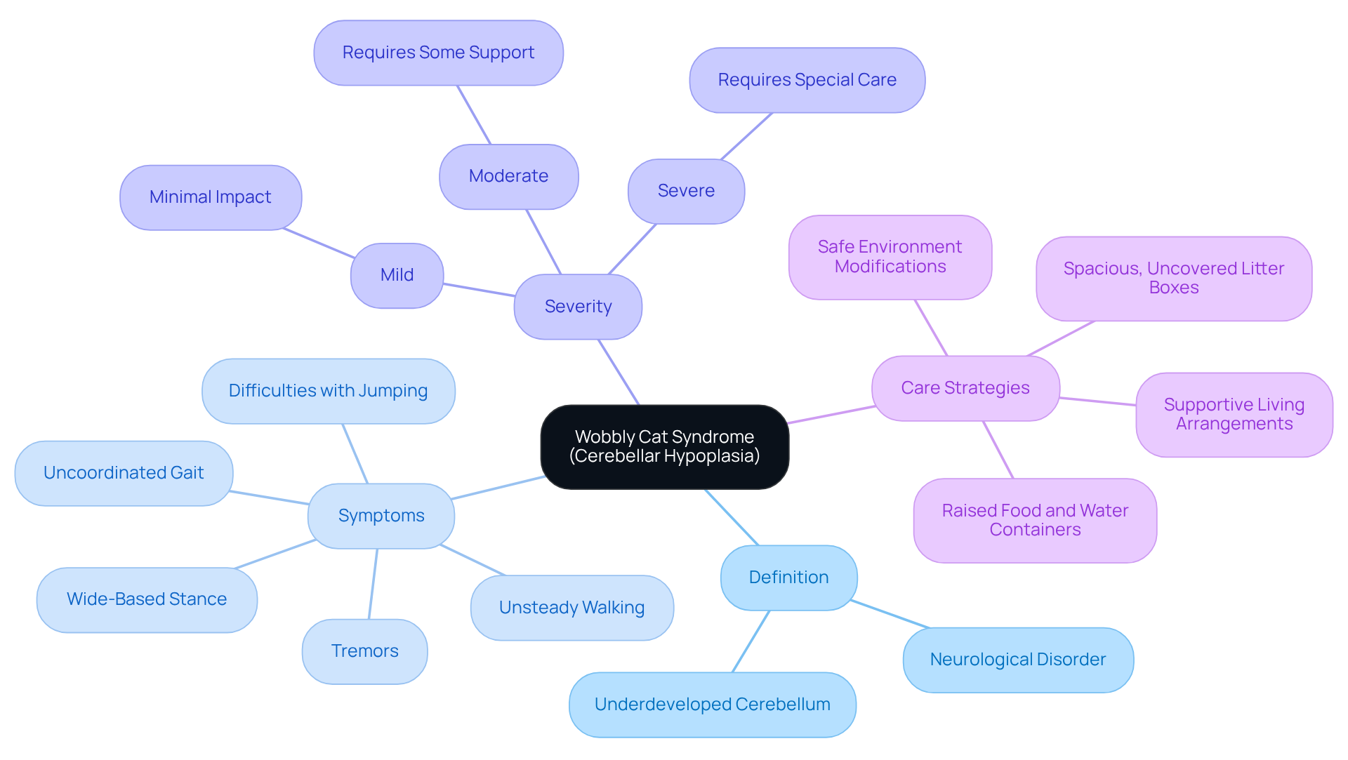 4 Steps to Care for Cats with Wobbly Cat Syndrome | Jet Pet Resort