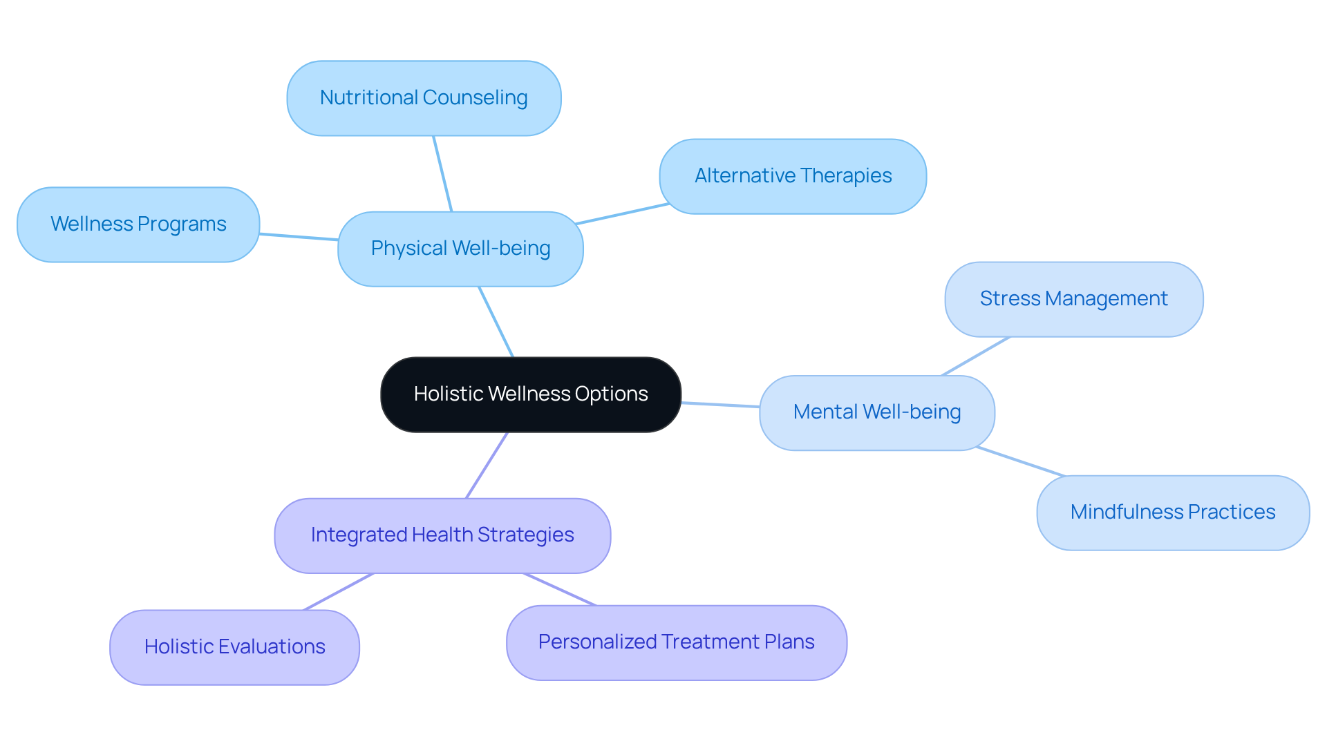The central node represents the overall theme of holistic wellness, while the branches illustrate various aspects and services that contribute to comprehensive care. Each color-coded branch helps you see how different elements work together to support overall health.
