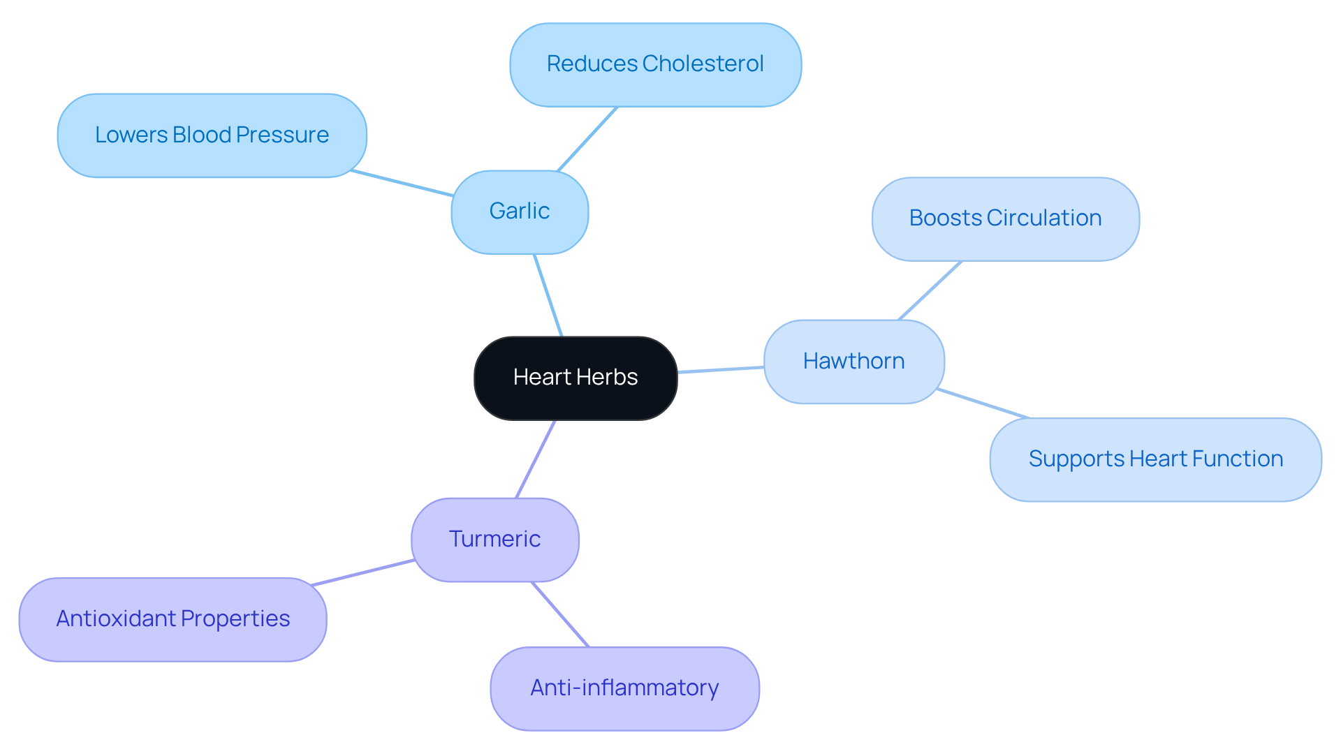 This mindmap starts with the main idea of heart herbs at the center. Each branch represents a specific herb and its benefits, helping you understand how these natural remedies can support your heart health.