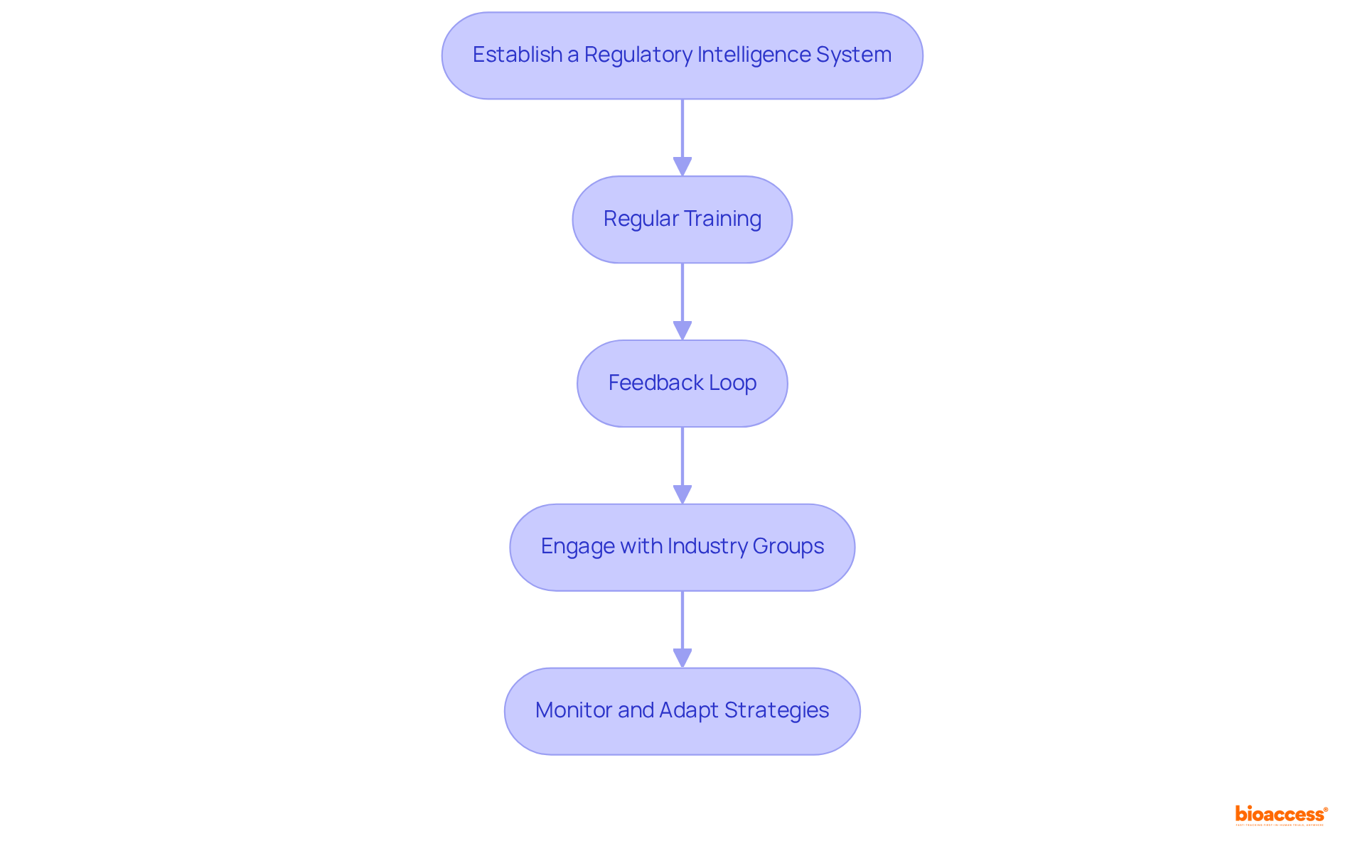 Each box represents a critical step in the process of adapting to regulatory changes. Follow the arrows to understand how each step leads to the next, ultimately guiding companies towards successful compliance.