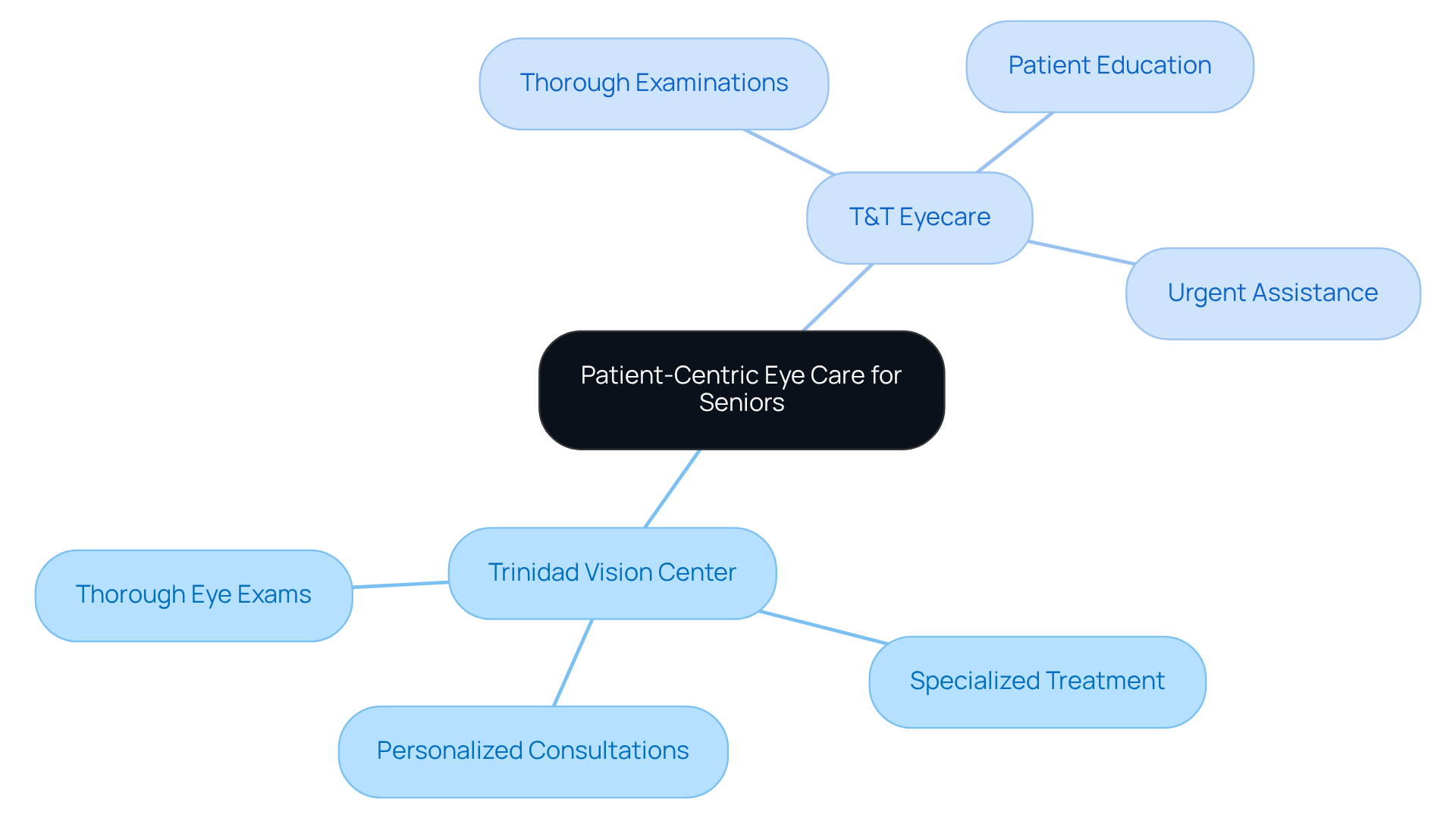 This mindmap shows how Trinidad Vision Center and T&T Eyecare focus on providing tailored eye care for seniors. Each branch represents a key aspect of their services, helping you see how they work together to support older adults in managing their eye health.